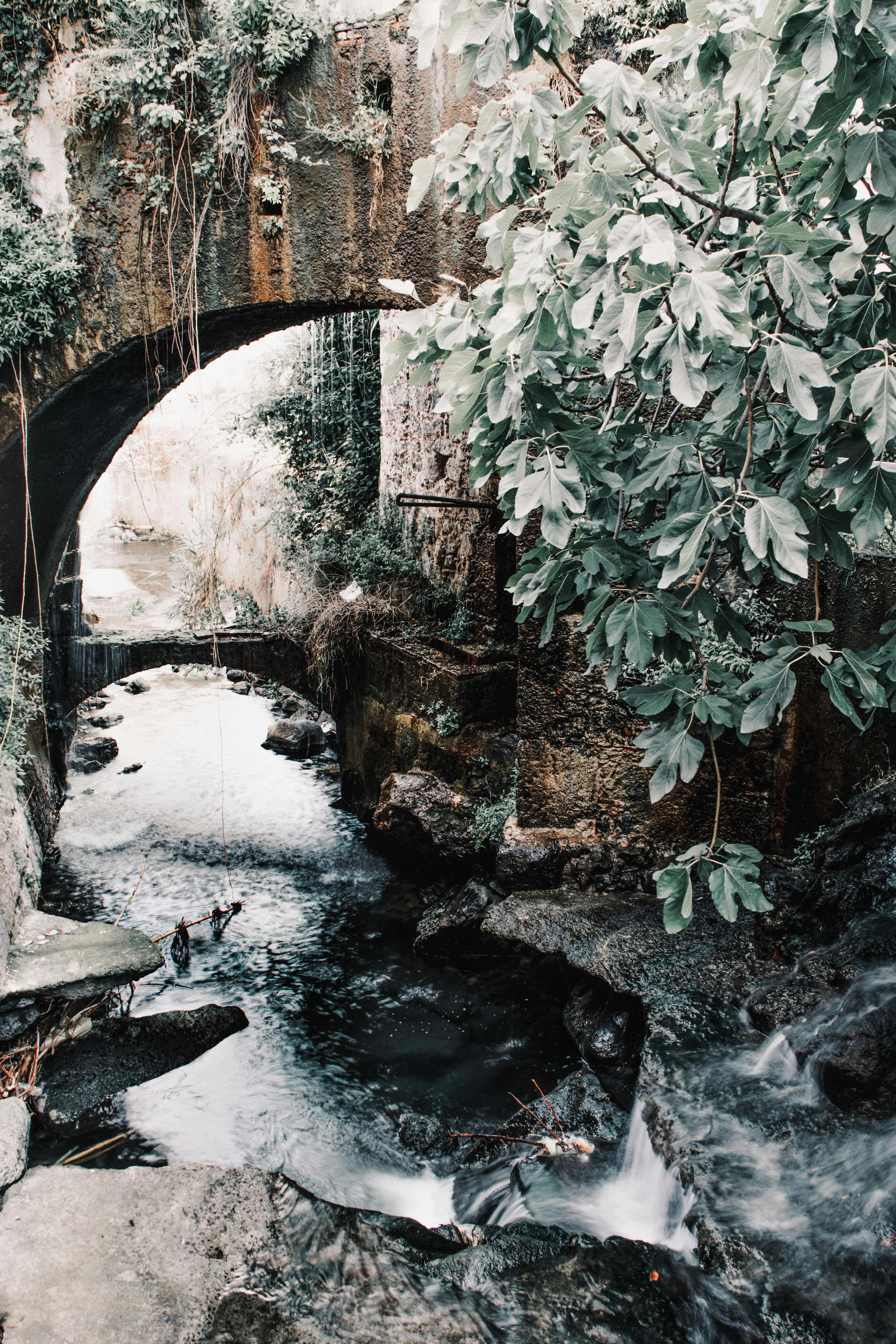 Mossy Arch Over the Quiet Gorge: A Stream Wends Through Stones