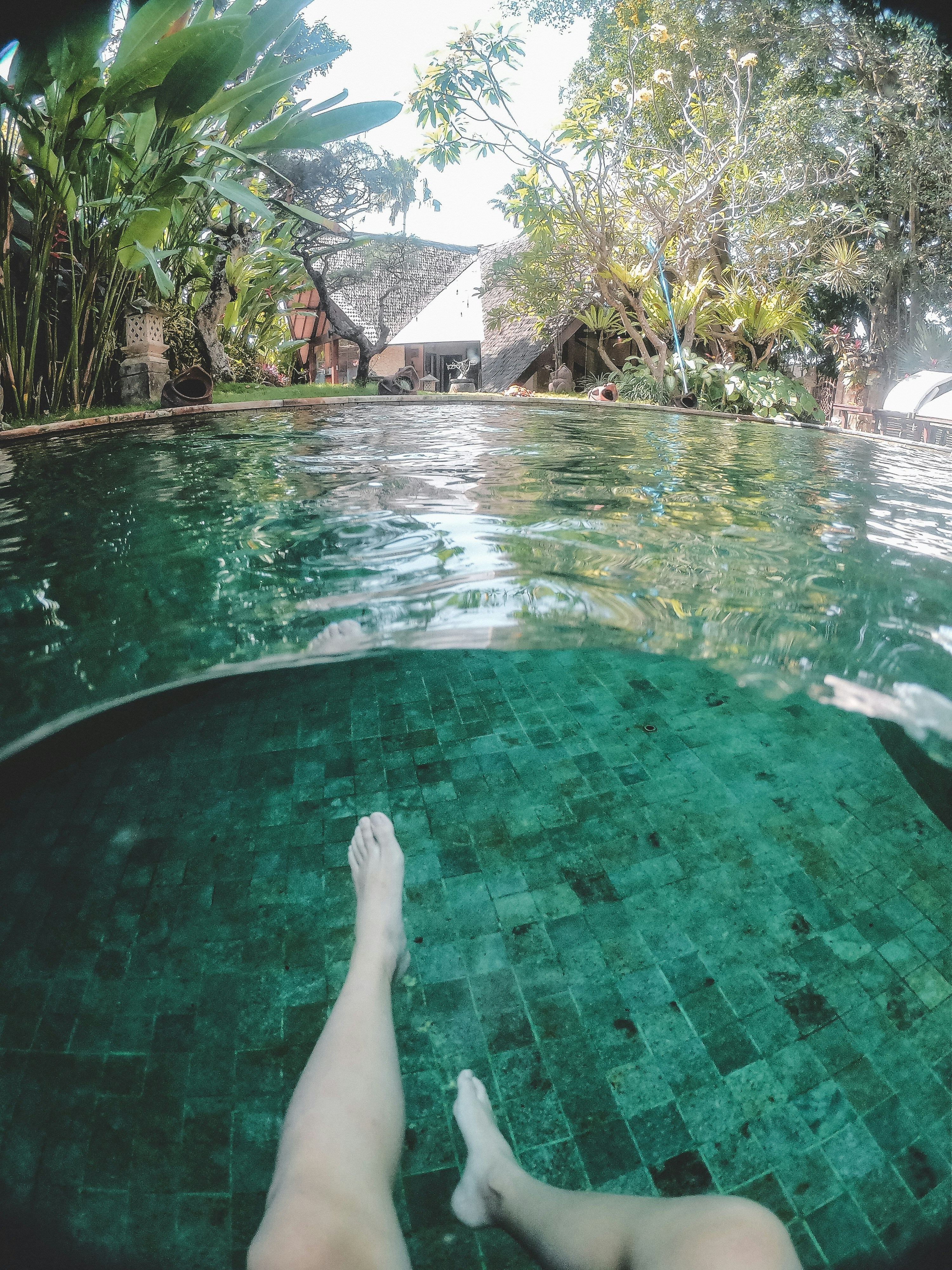 Perspective shot of legs submerged in a clear swimming pool surrounded by lush greenery and a thatched-roof building.