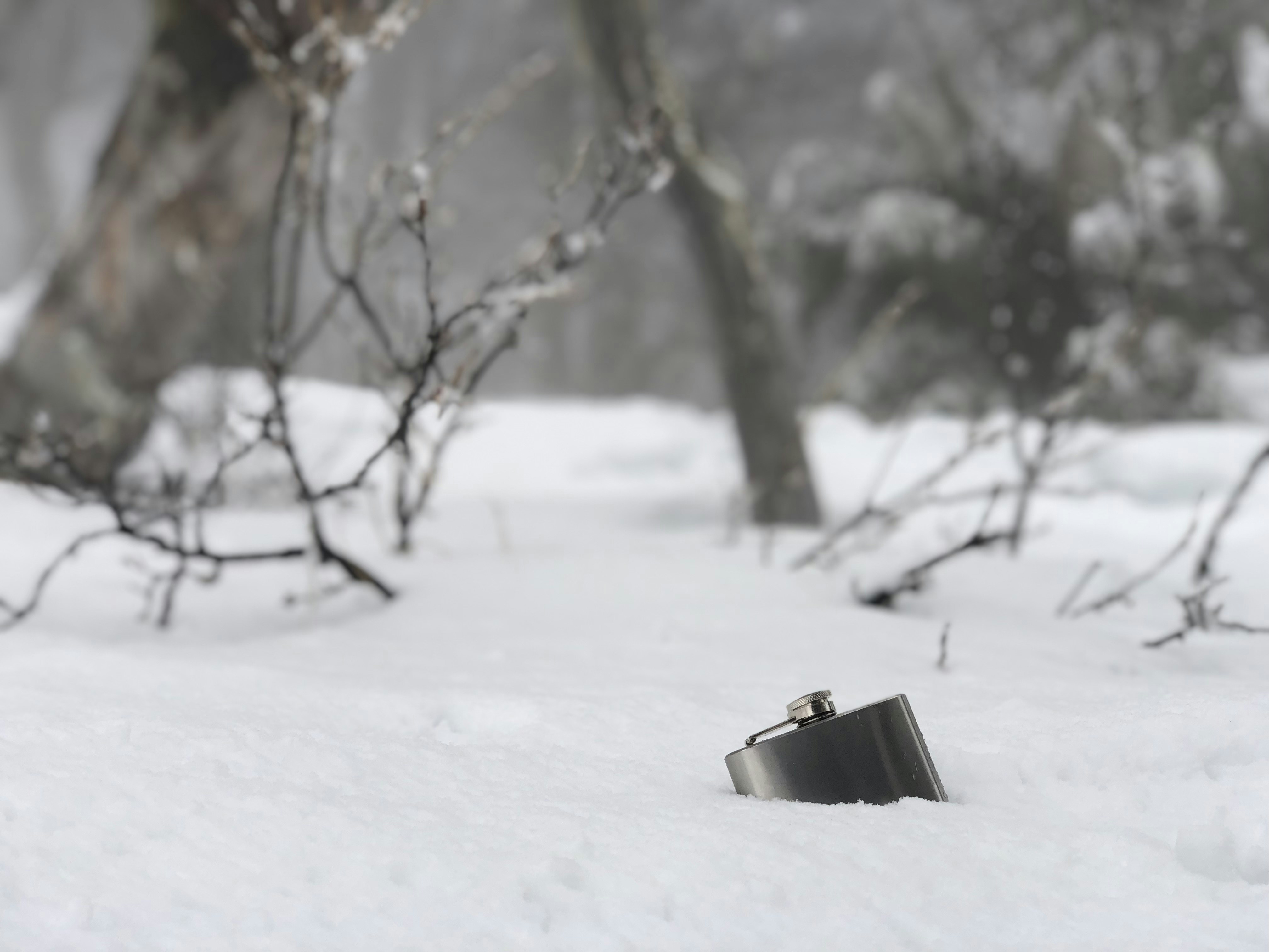 Winter's Quiet Relic: A Snowbound Flask Emerges