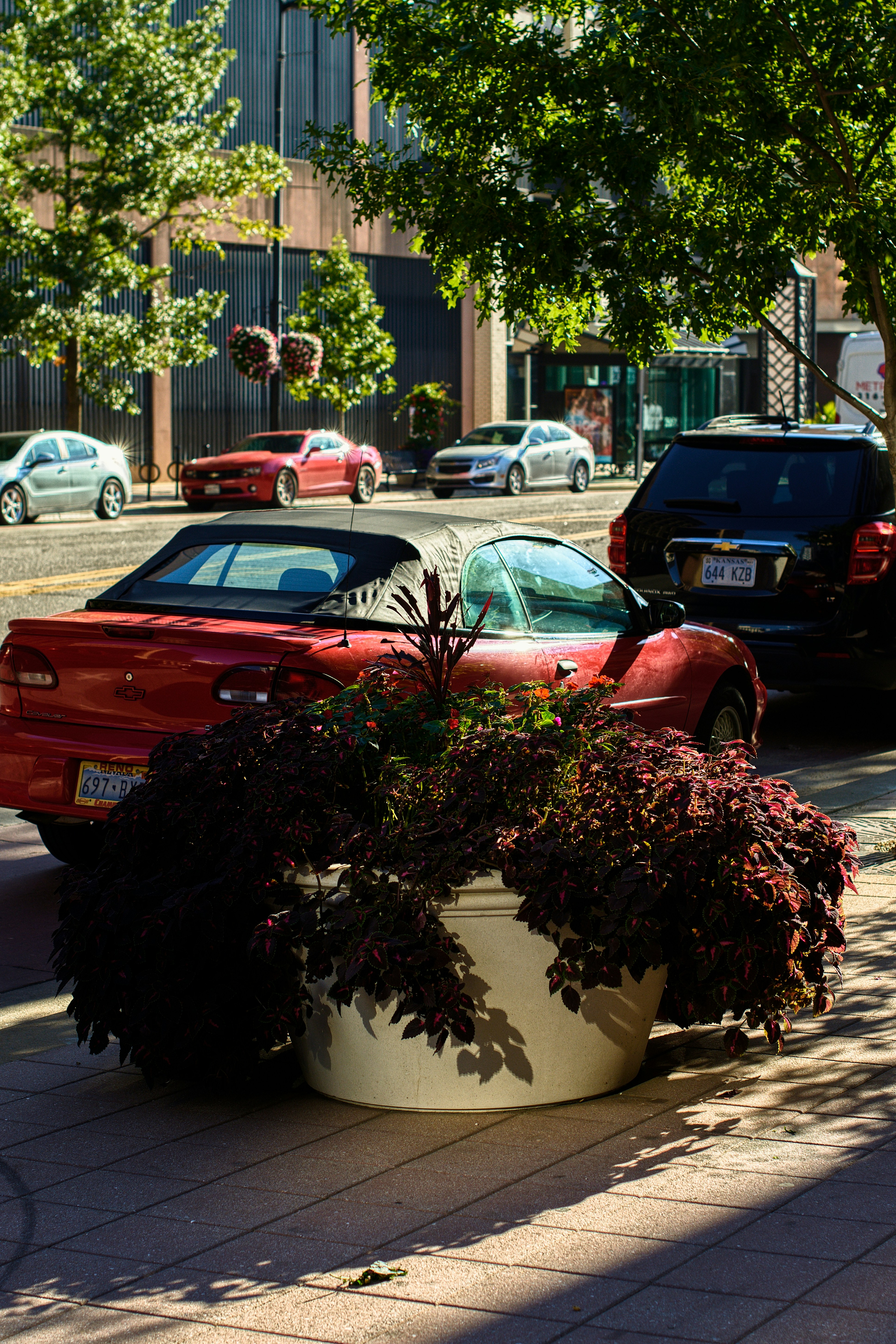 Red Convertible in Sunlit Street Terrace