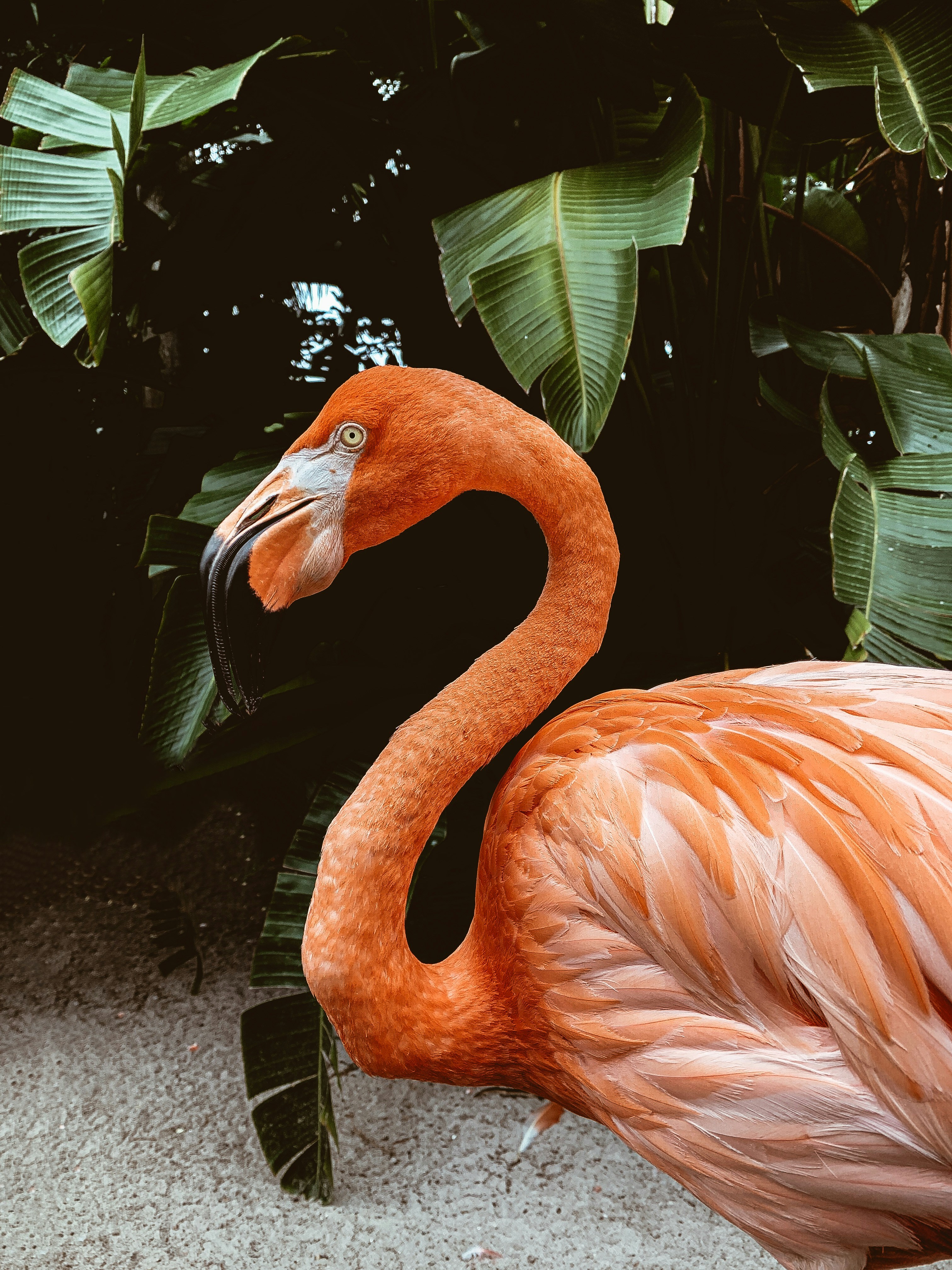 Sample photo from Apple iPhone XR