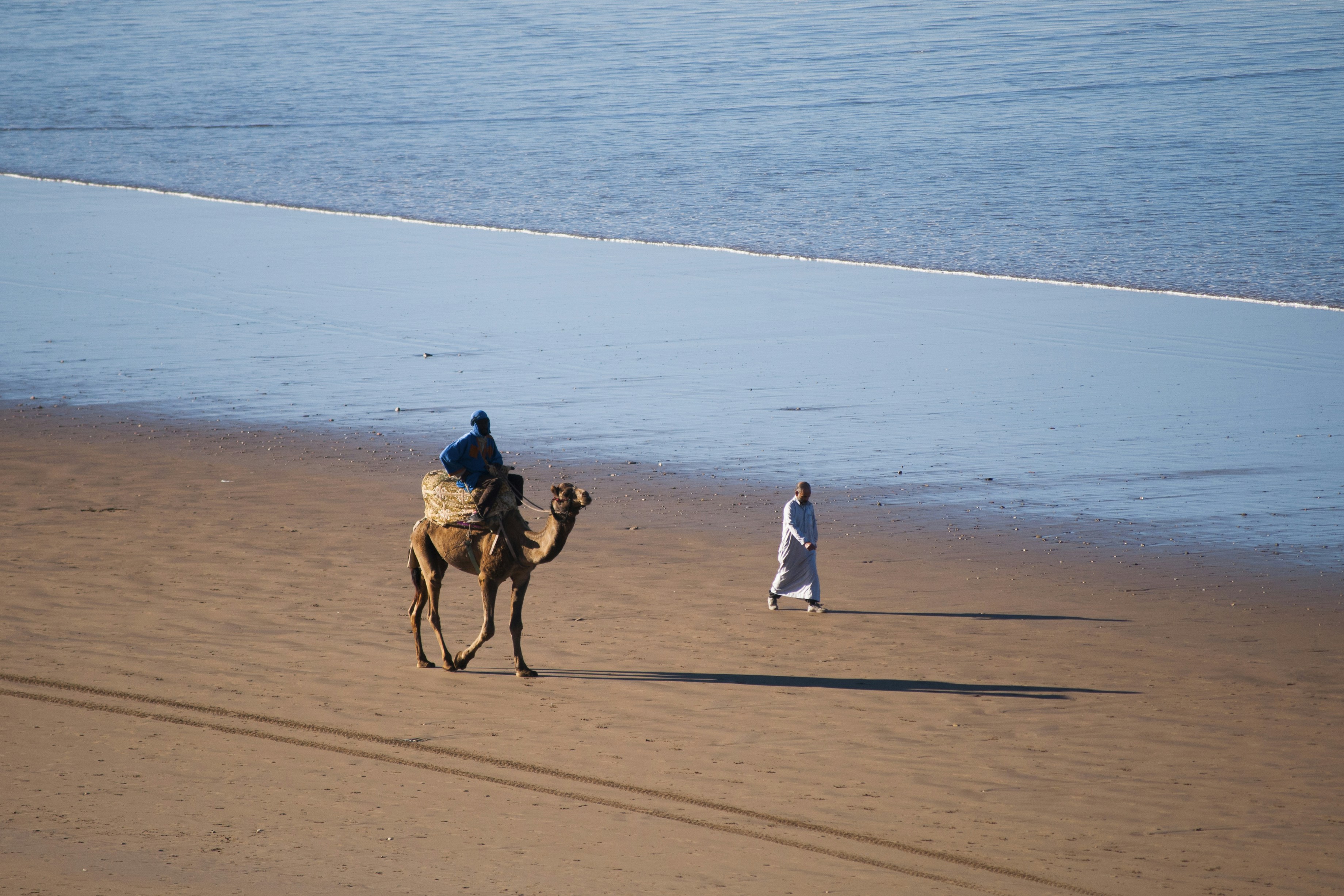 A lone figure walks beside a camel on a sandy beach, with gentle waves lapping at the shore in the background.