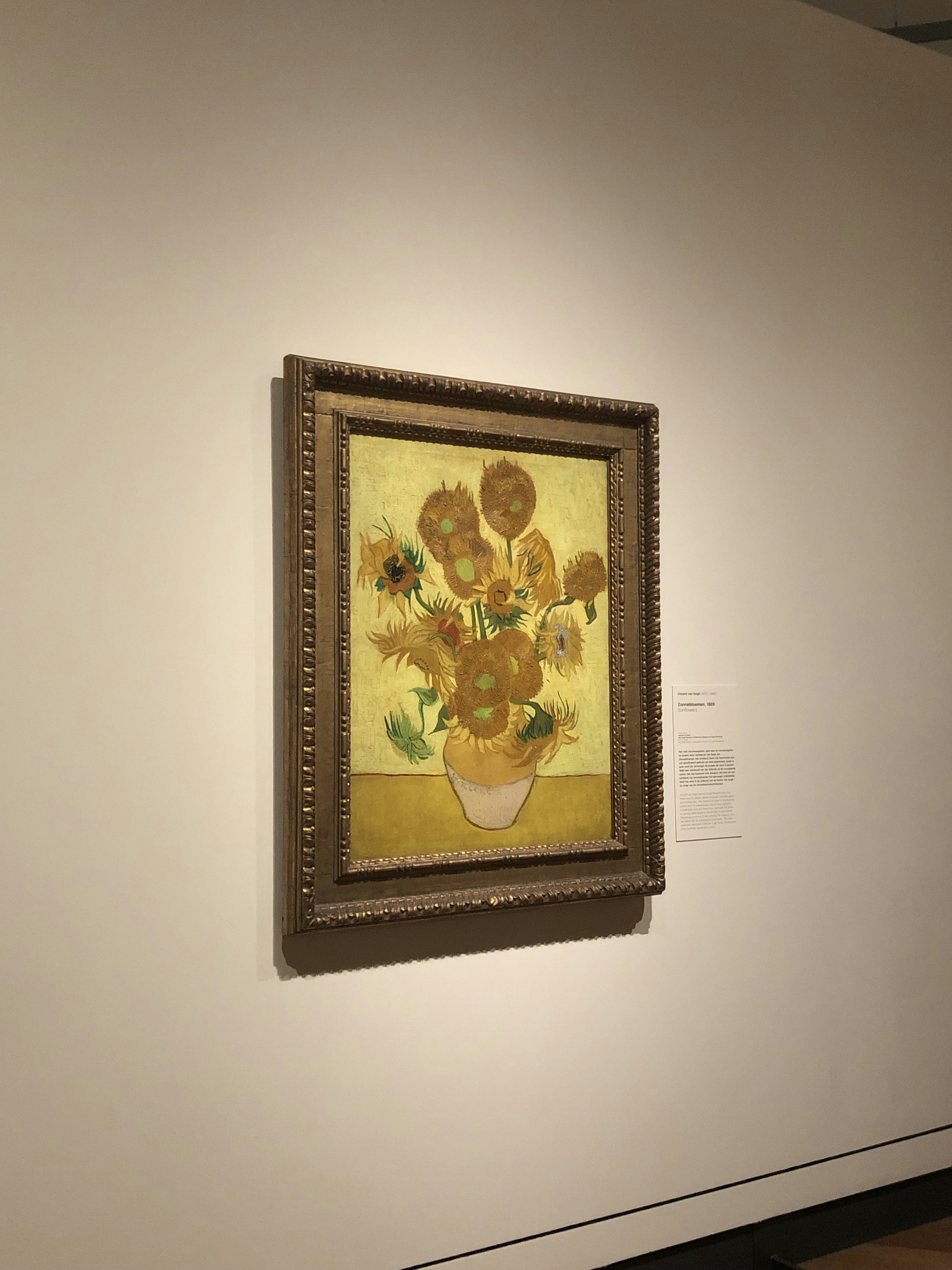 Anastasia (@s_anastasia) | Comunidad de fotos de Unsplash