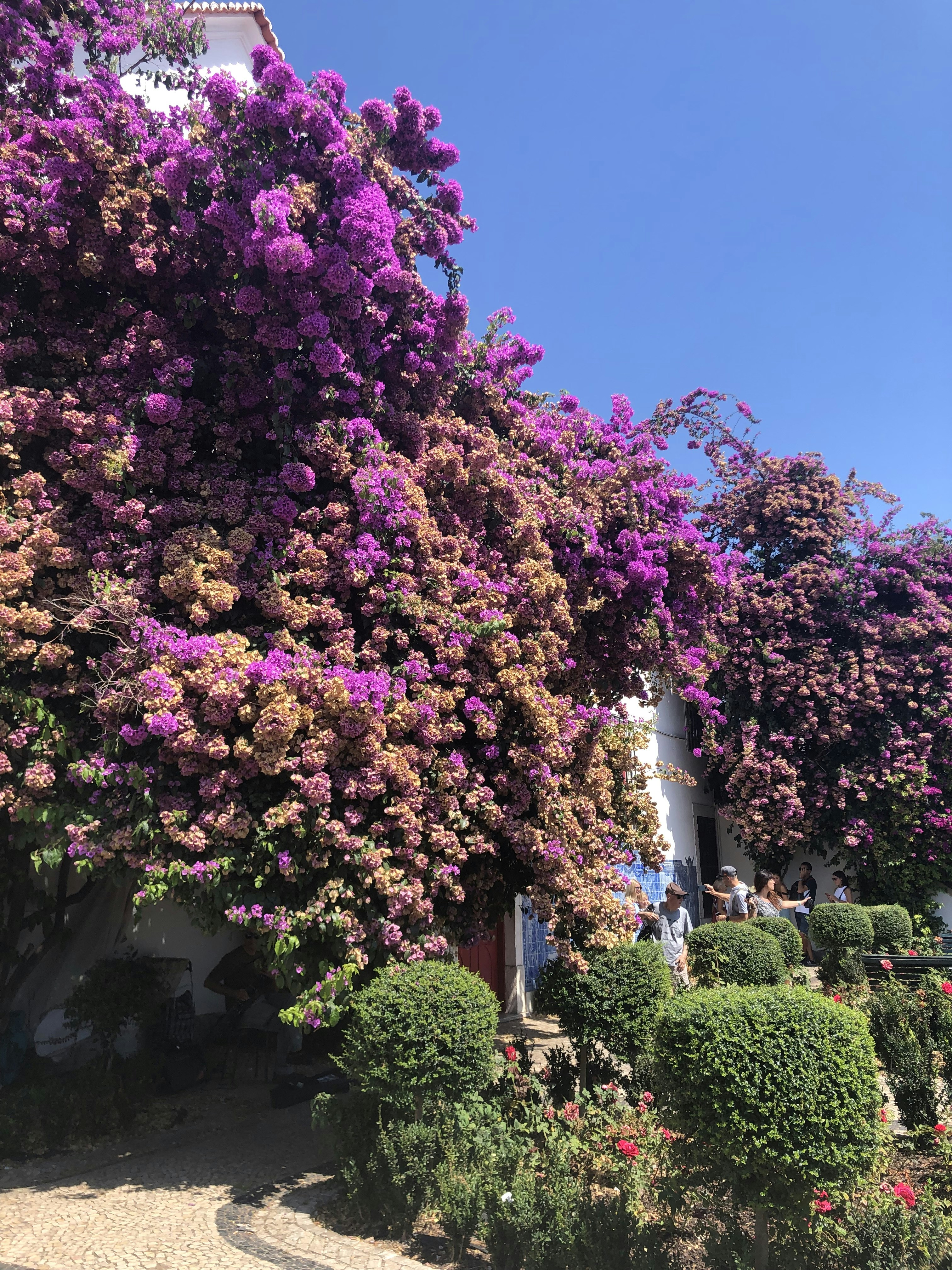 Anastasia (@s_anastasia) | Communauté photos Unsplash