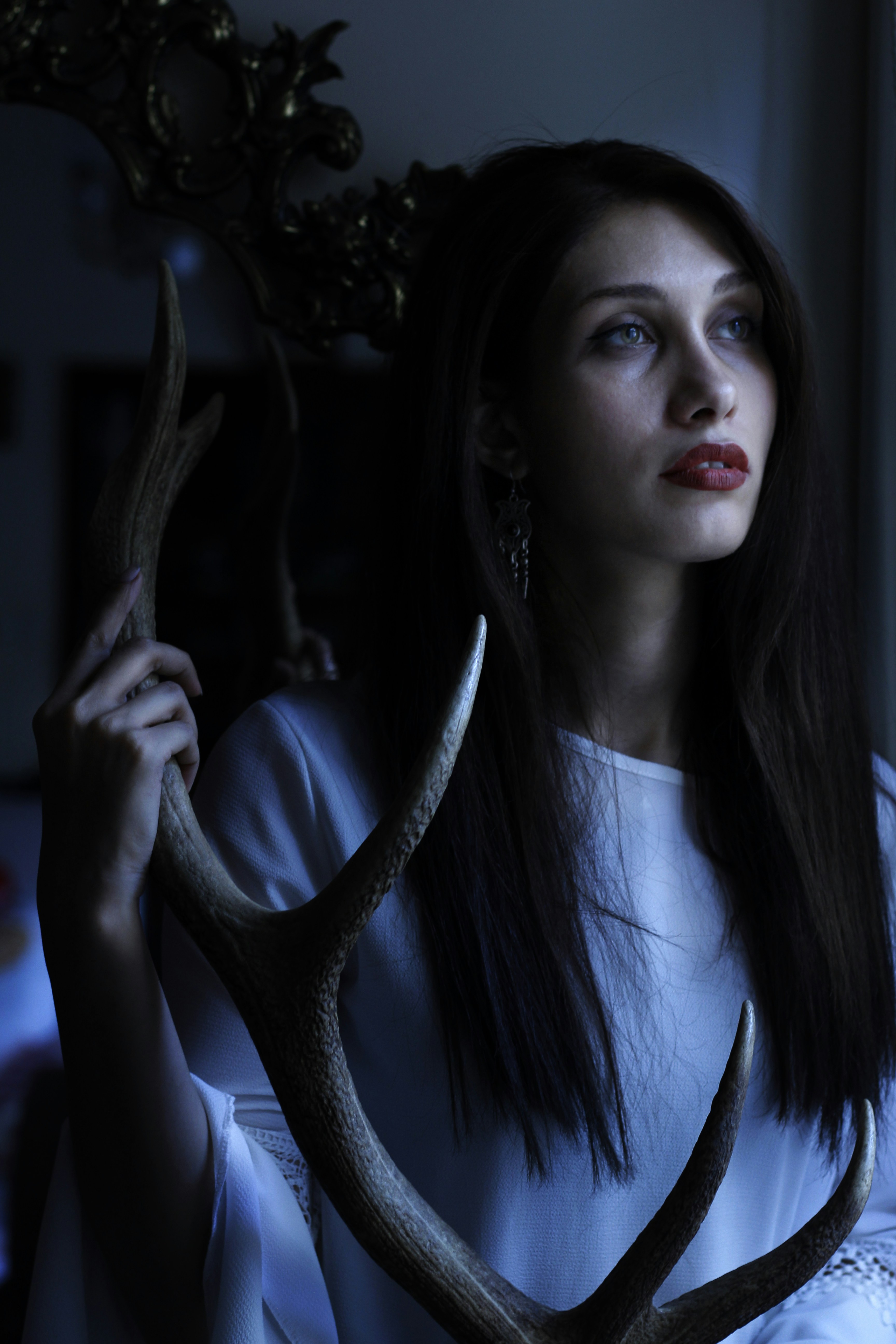 Moonlit Gaze: Quiet Confidence by Antlered Silence