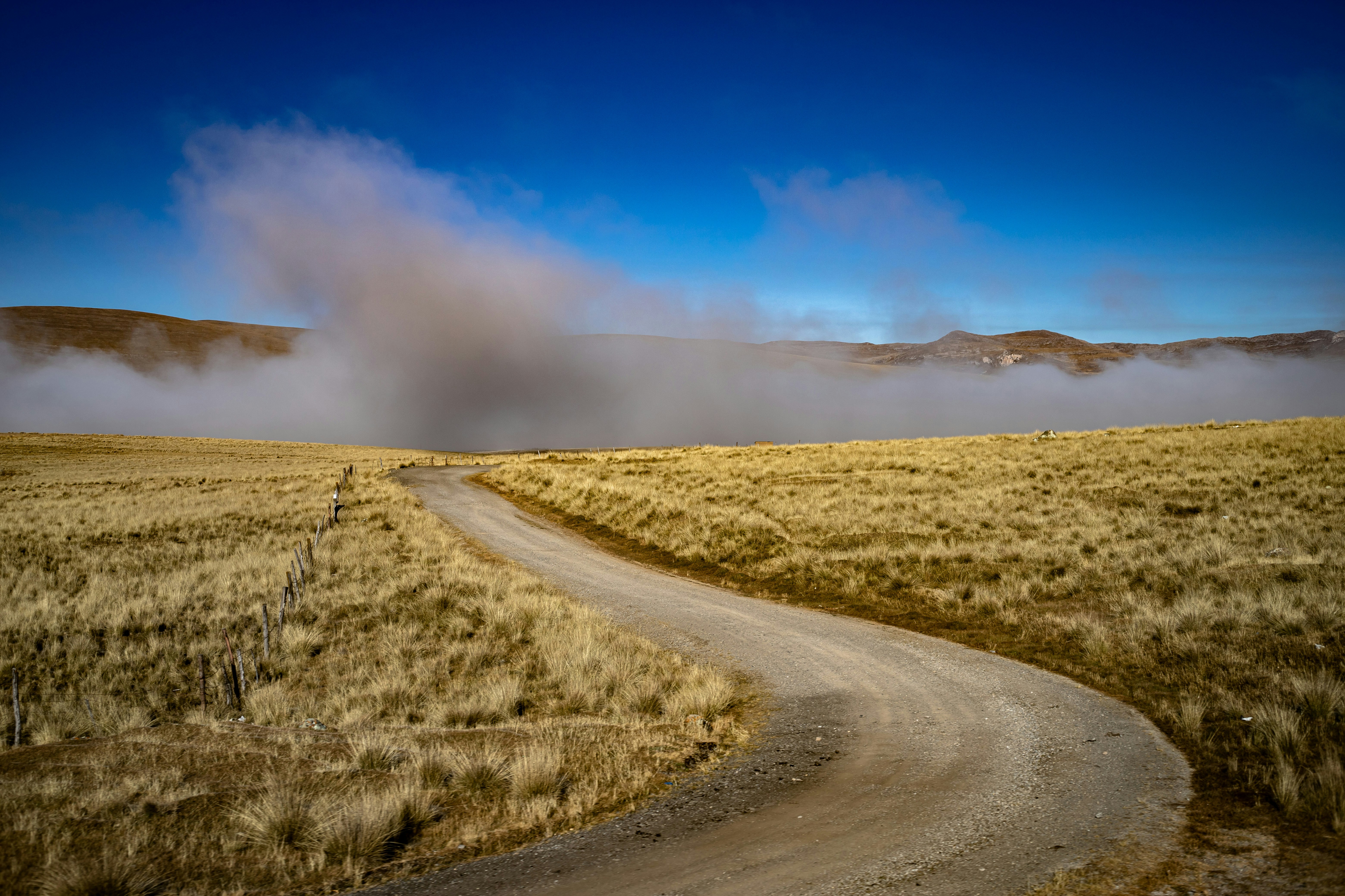 Whispering Curves of Junín