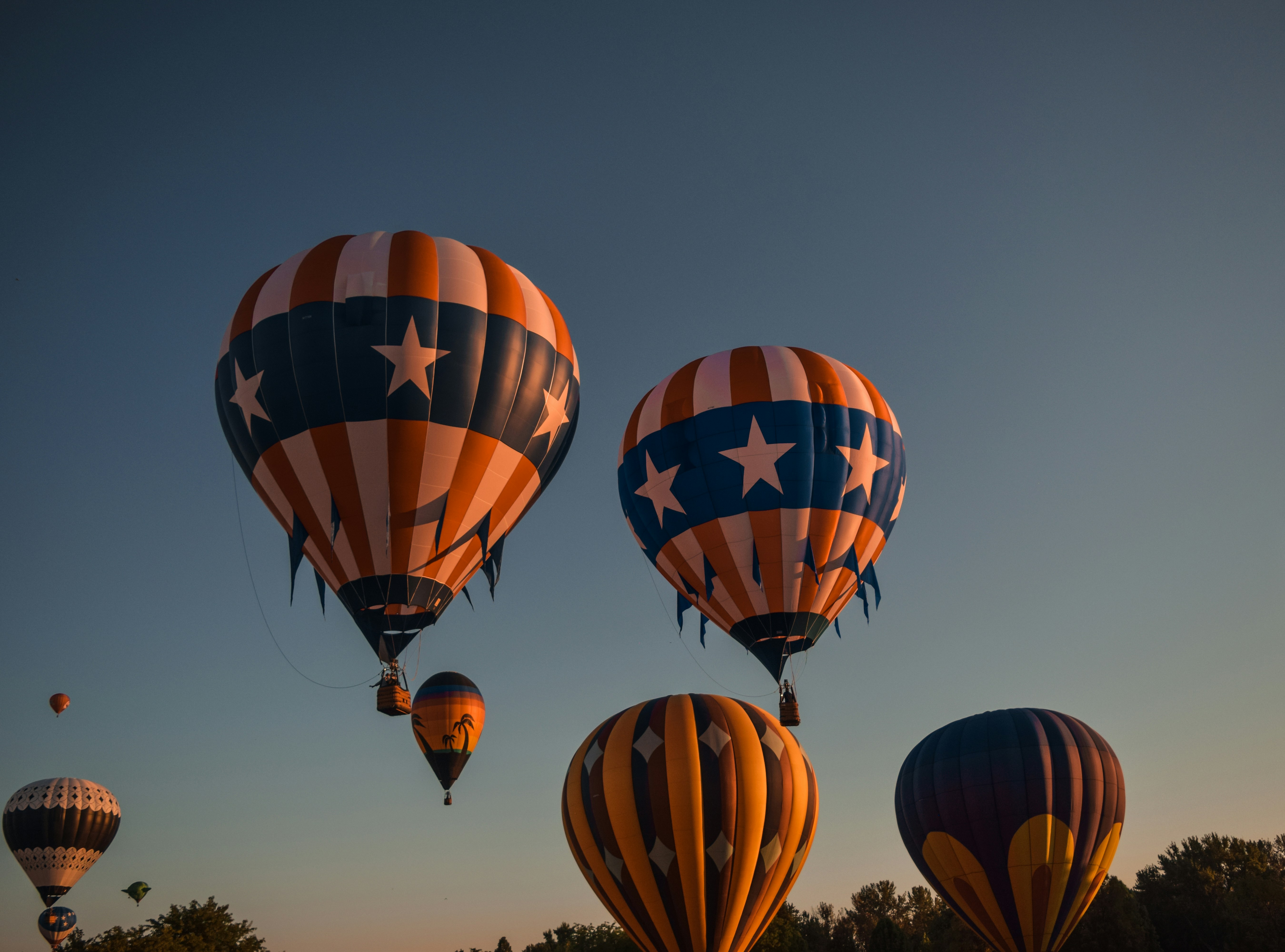a group of hot air balloons