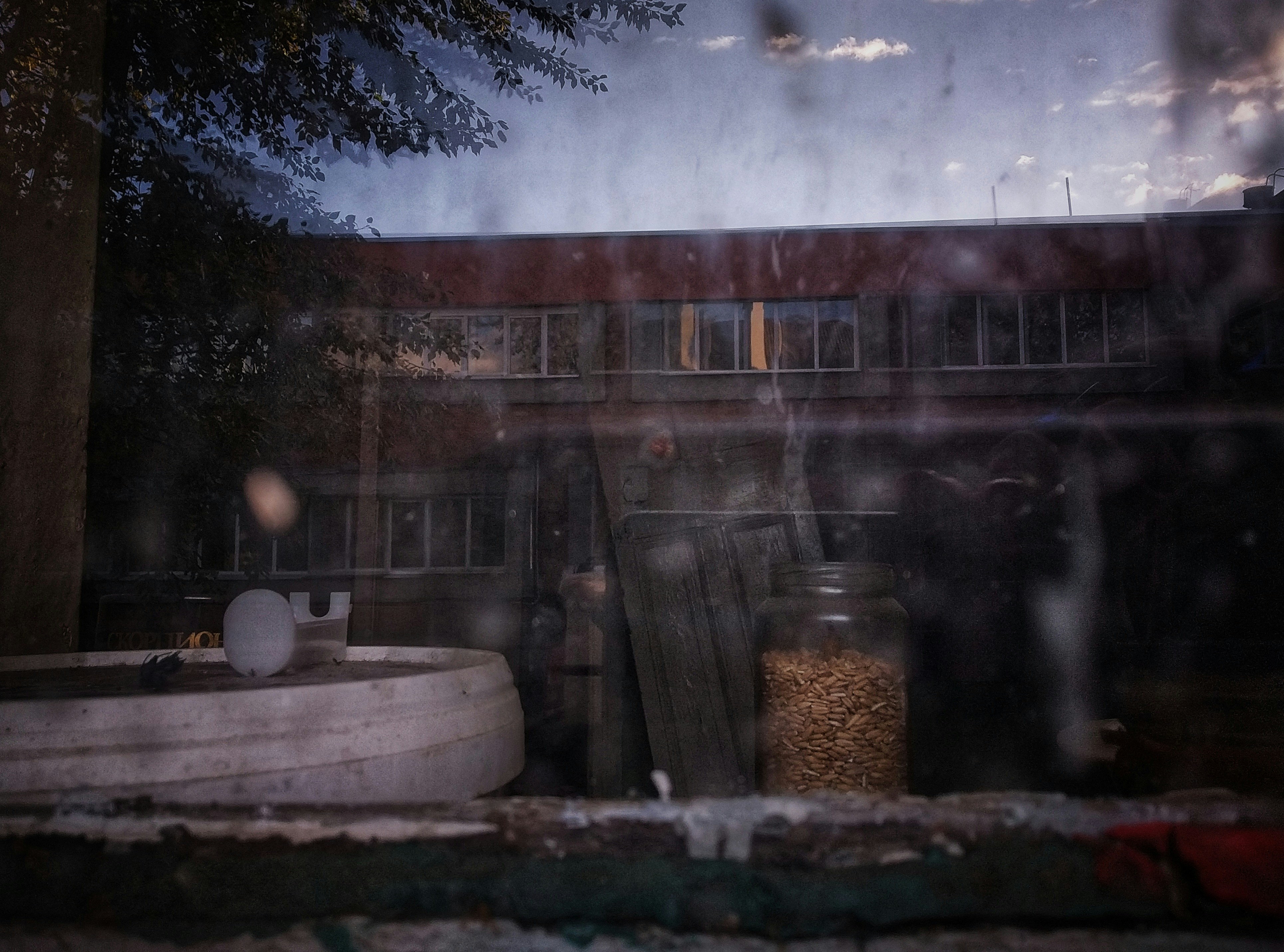 Dusty Window, Hidden Kitchen: A Quiet Glimpse Beyond Glass