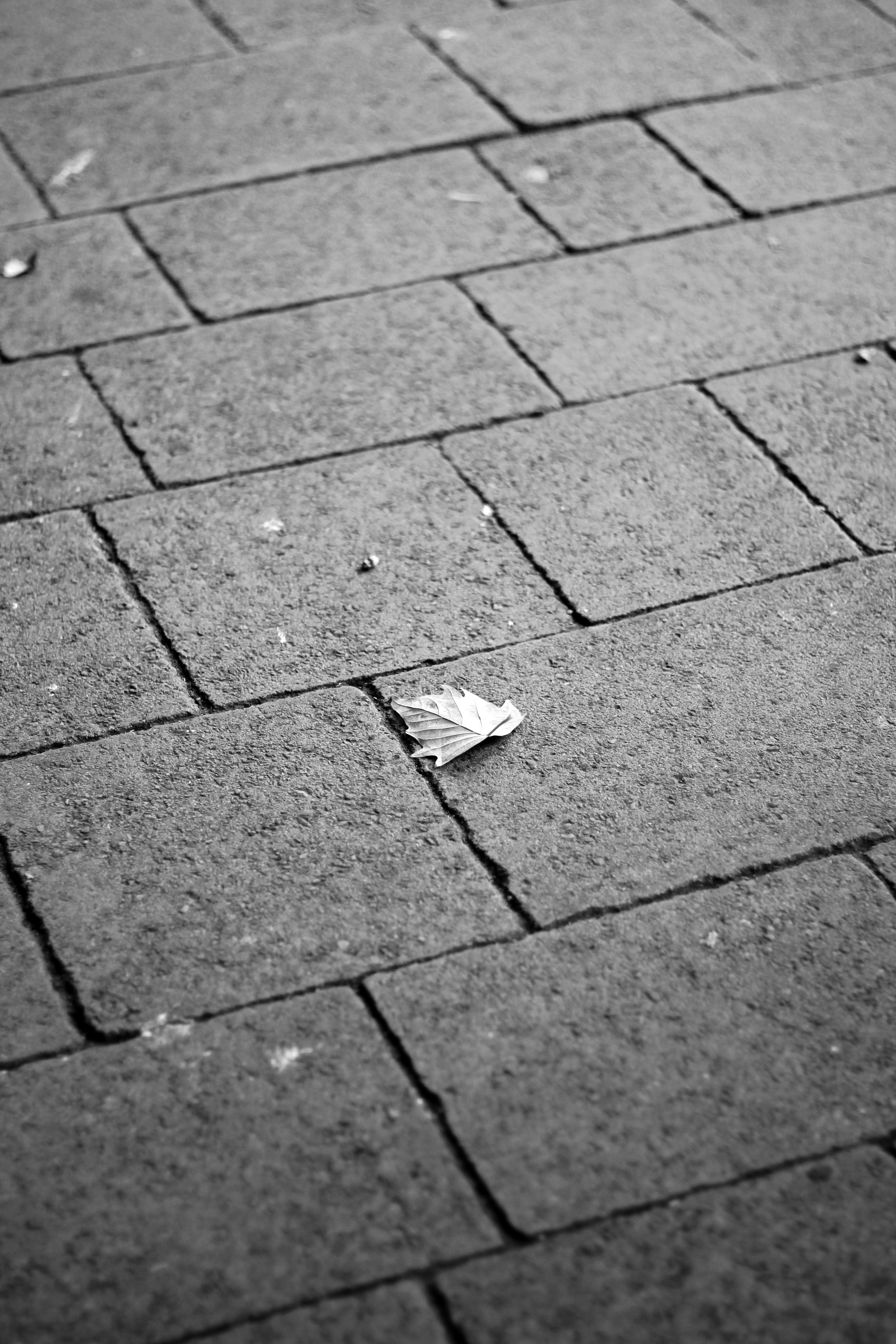 100+ Grayscale Pictures | Download Free Images on Unsplash