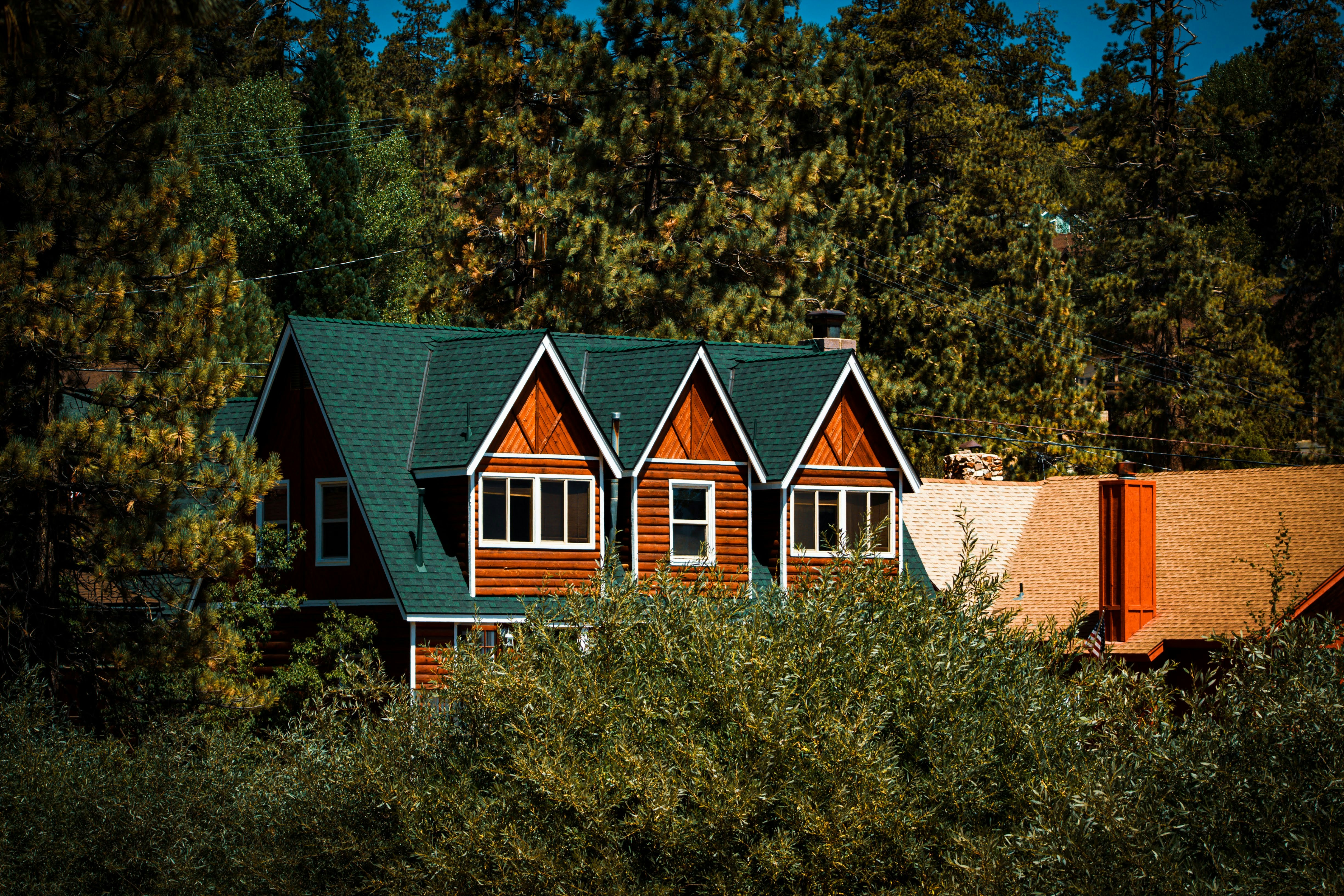 Green cabin in forest photo – Free Building Image on Unsplash