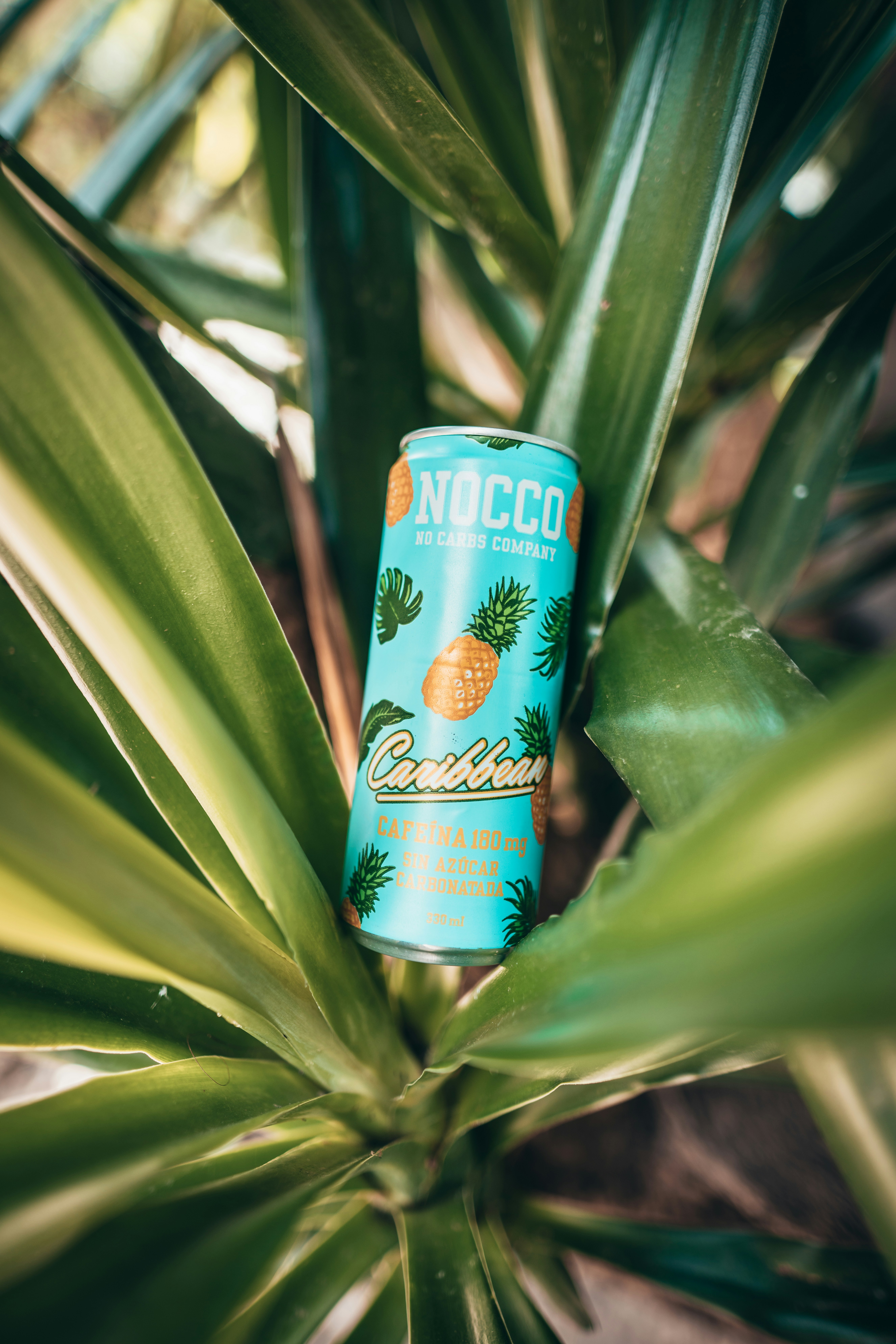 Blue tin can photo – Free Plant Image on Unsplash