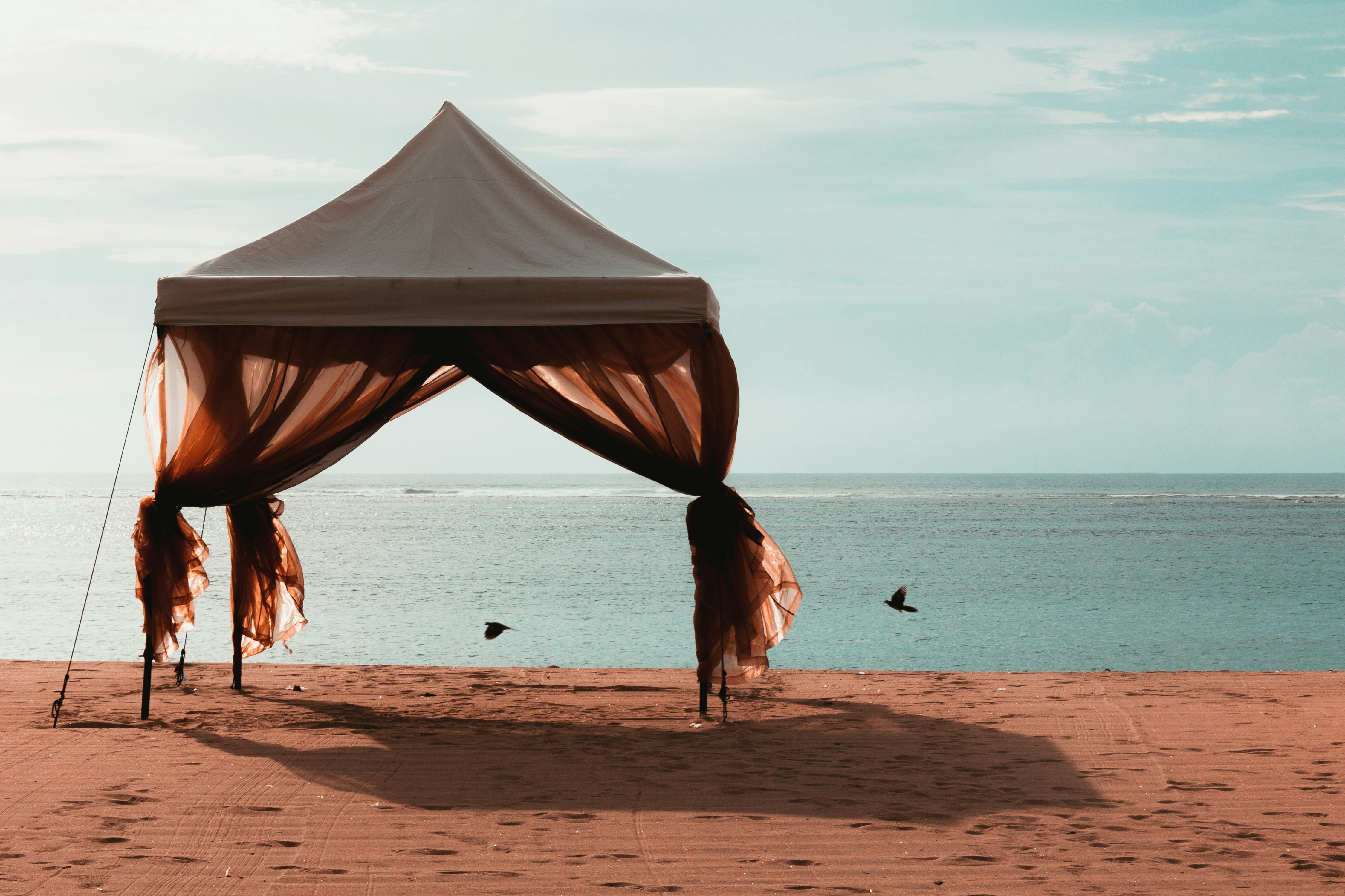 Wind-stitched Canopy on a Quiet Beach