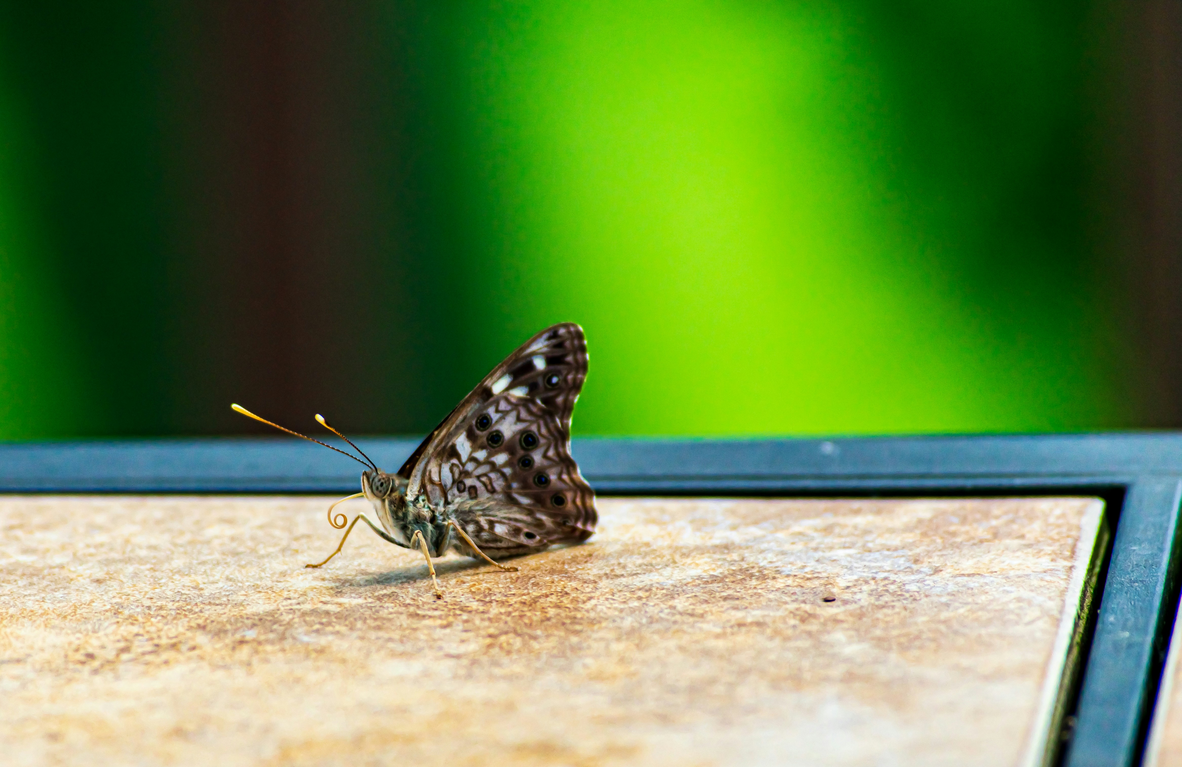 Nicholas Koenig (@nik_koenig) | Comunidade de fotos da Unsplash