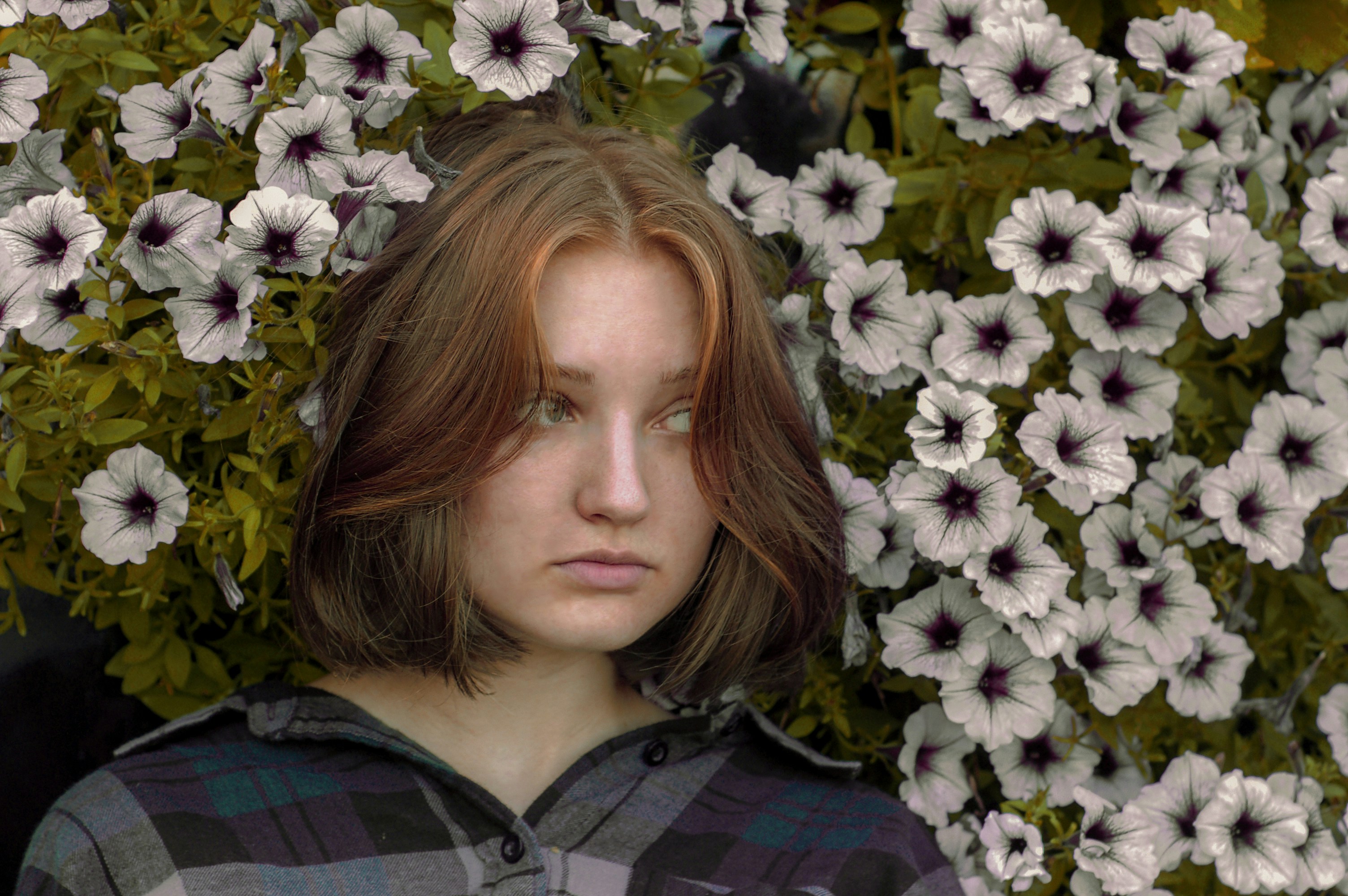 Soft Light, Quiet Gaze: A Portrait Among Petals