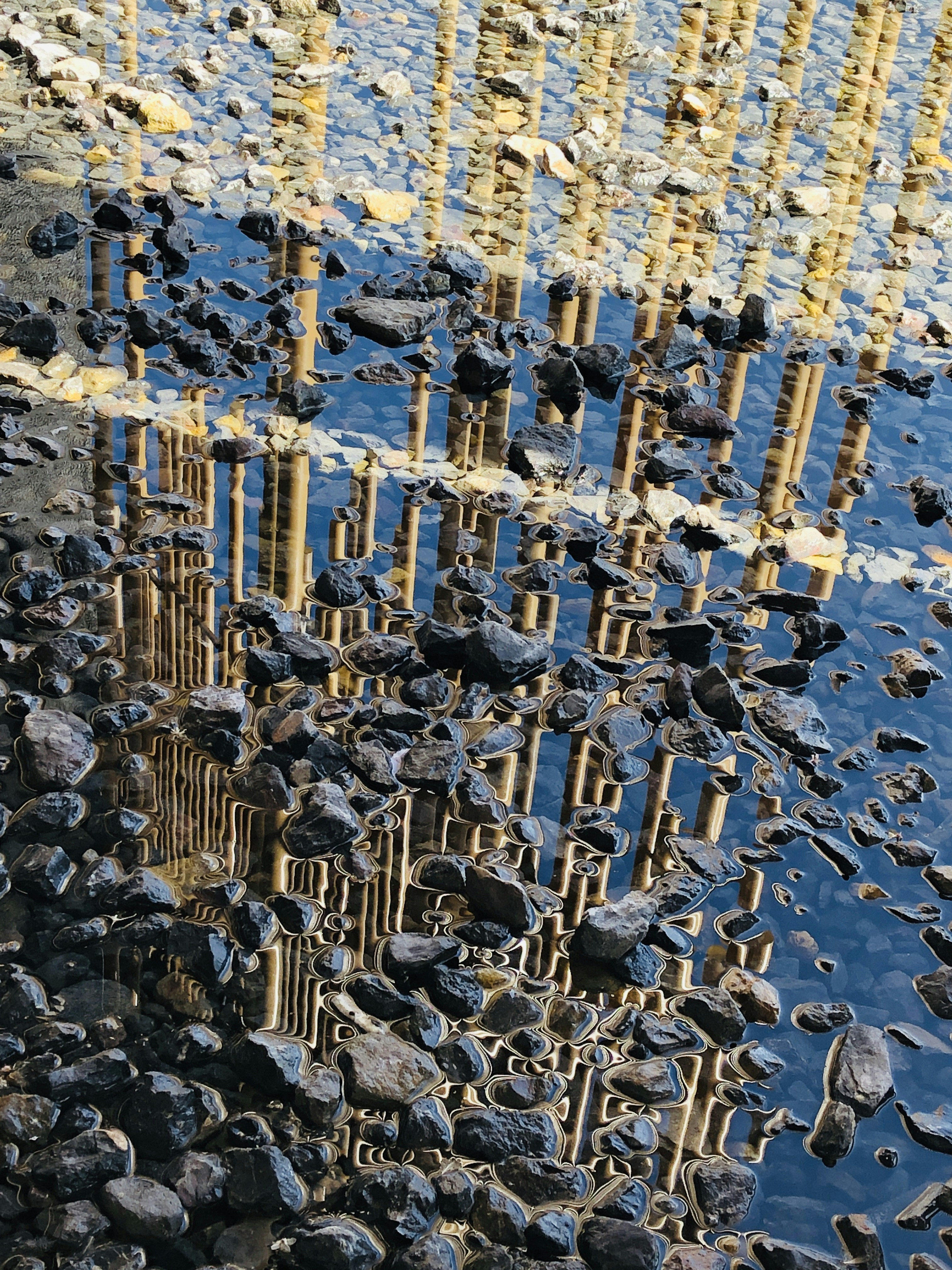 Jane LYU (@janesplash) | Unsplash 사진 커뮤니티