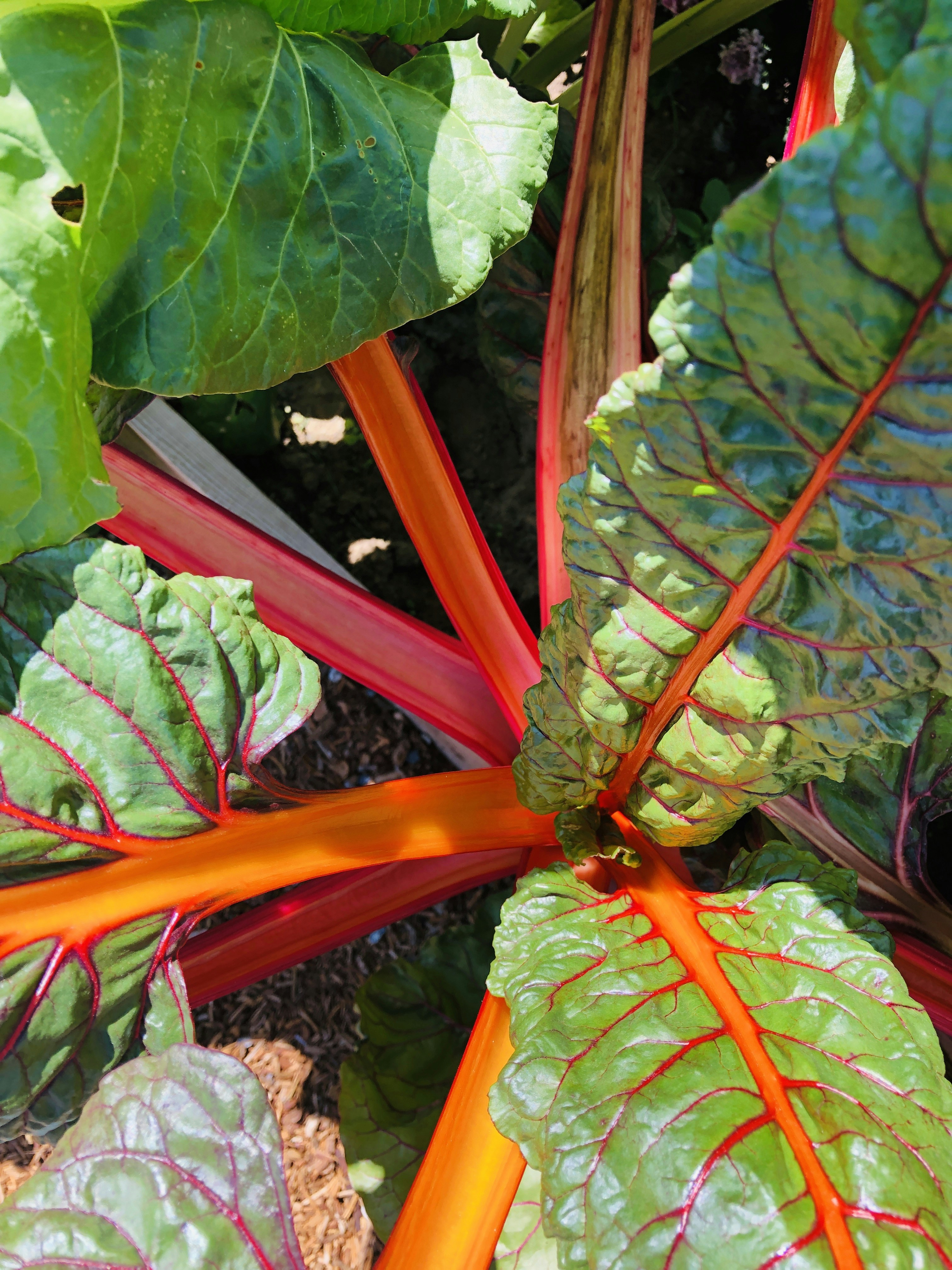 Jane LYU (@janesplash) | Unsplash 사진 커뮤니티