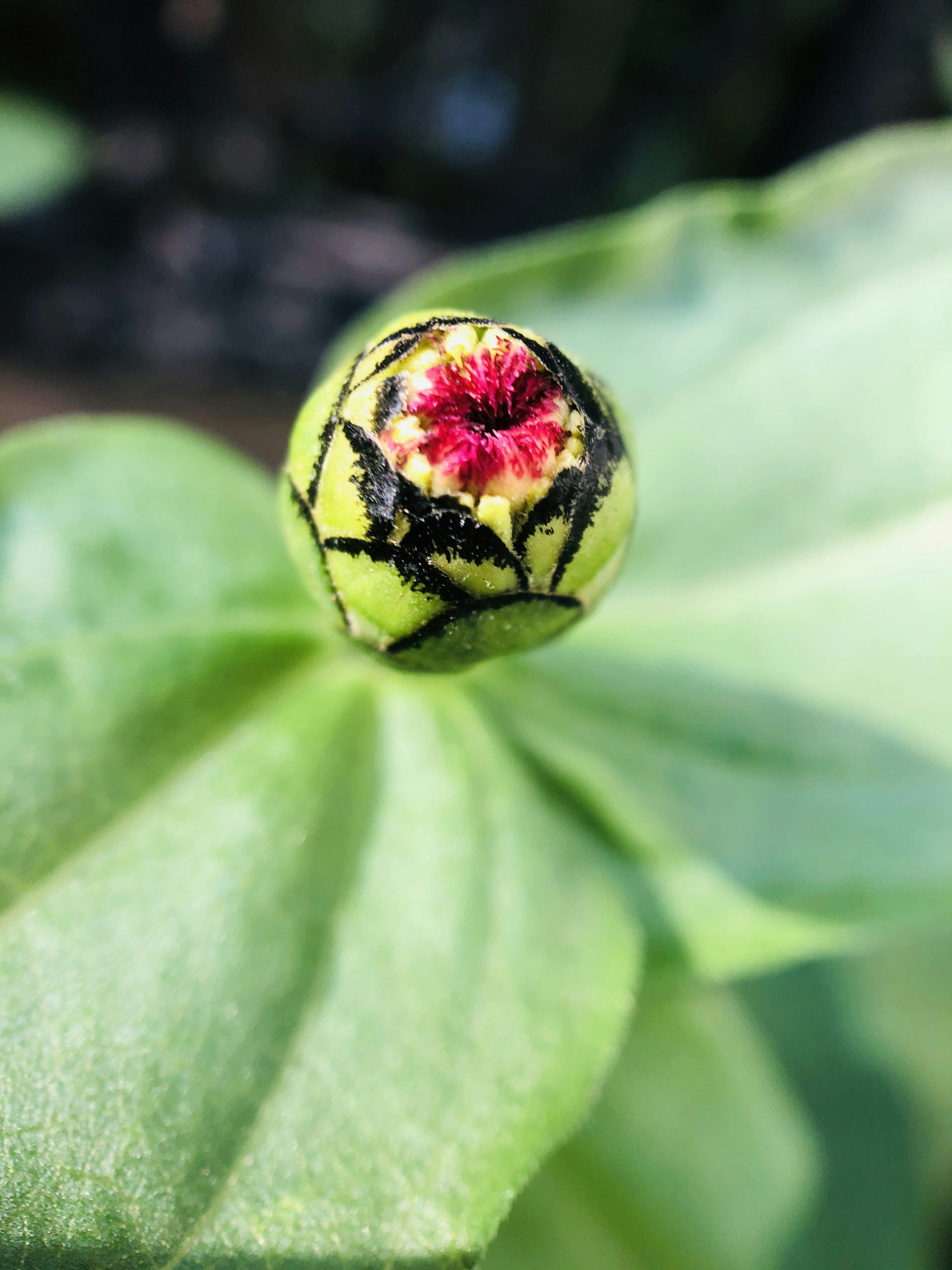 Jane LYU (@janesplash) | Unsplash 사진 커뮤니티