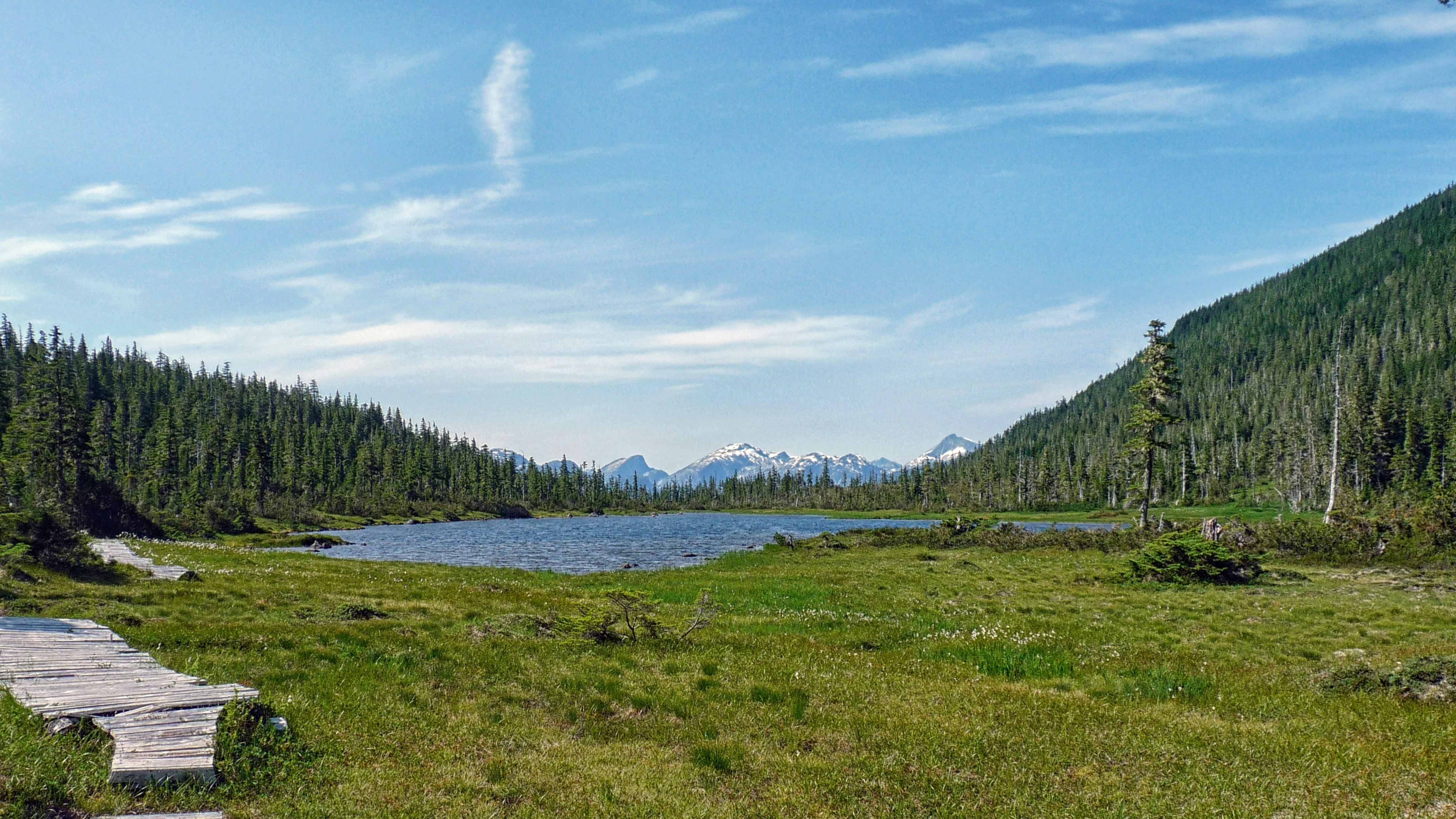 Expansive view of a tranquil lake surrounded by lush greenery and distant snow-capped mountains. The scene captures the essence of a peaceful natural landscape.