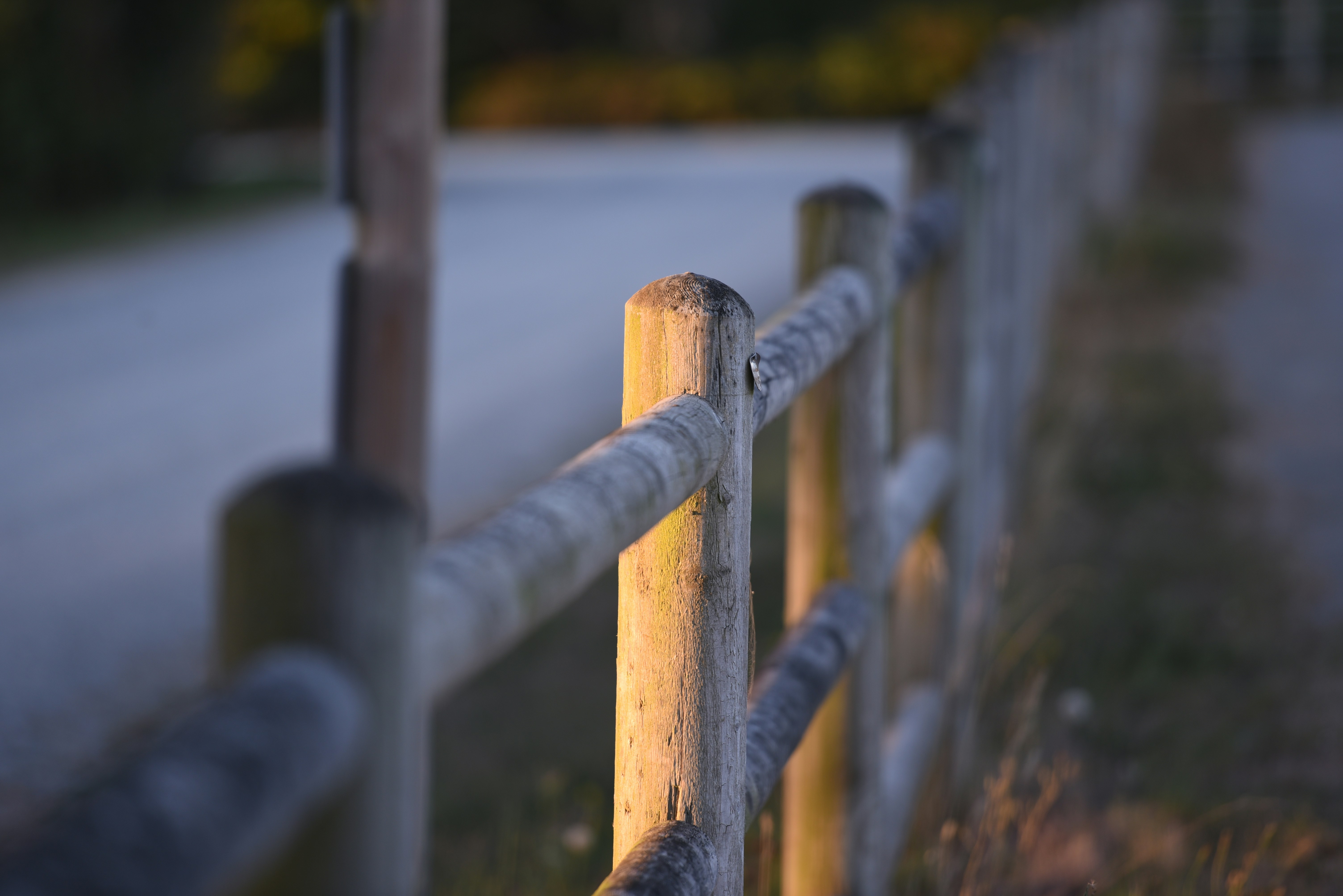 Wooden fence post illuminated by soft evening light, leading towards a blurred gravel road in the background.