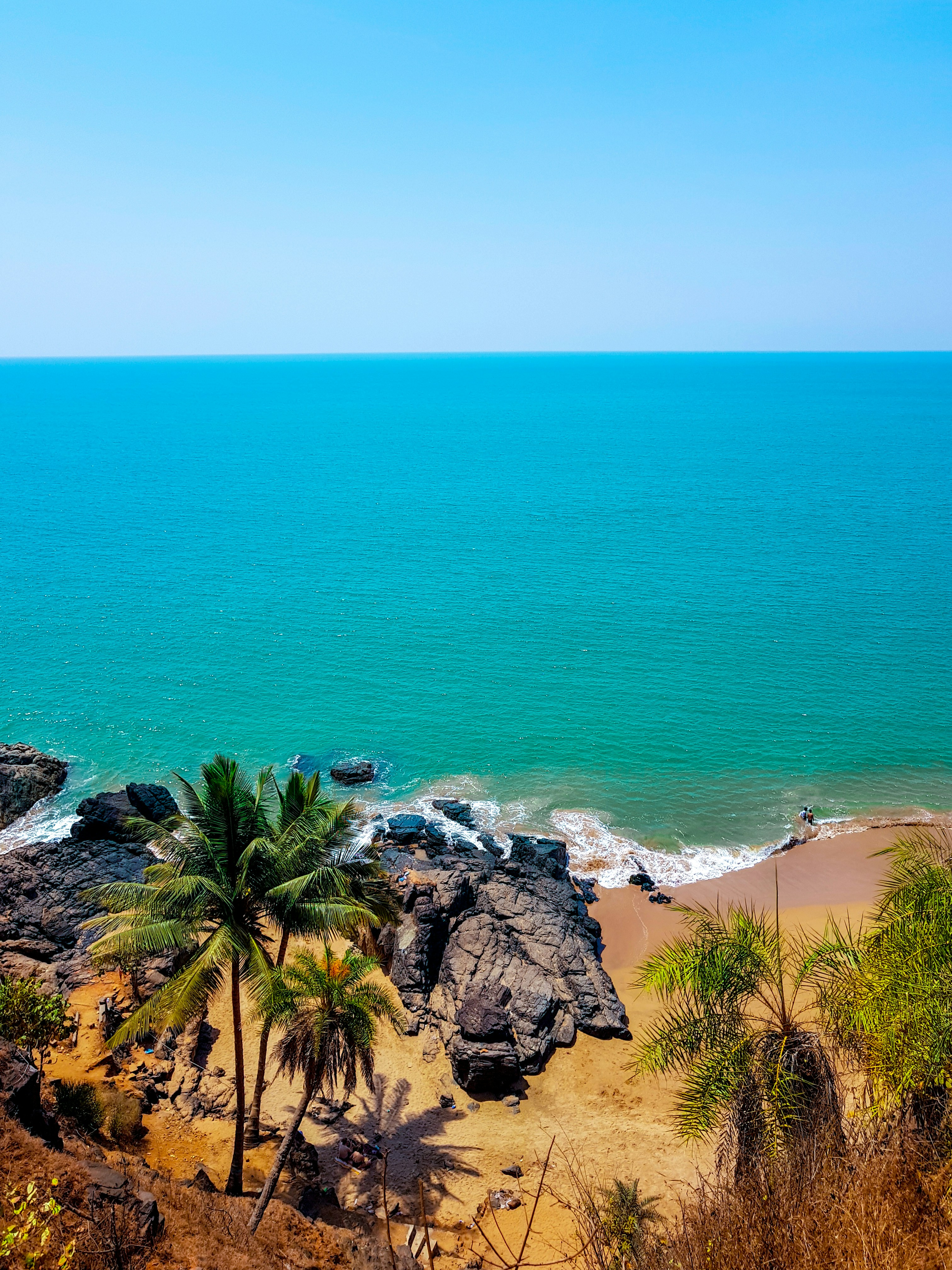 A view of a beach with palm trees and the ocean photo – Free Blue Image ...