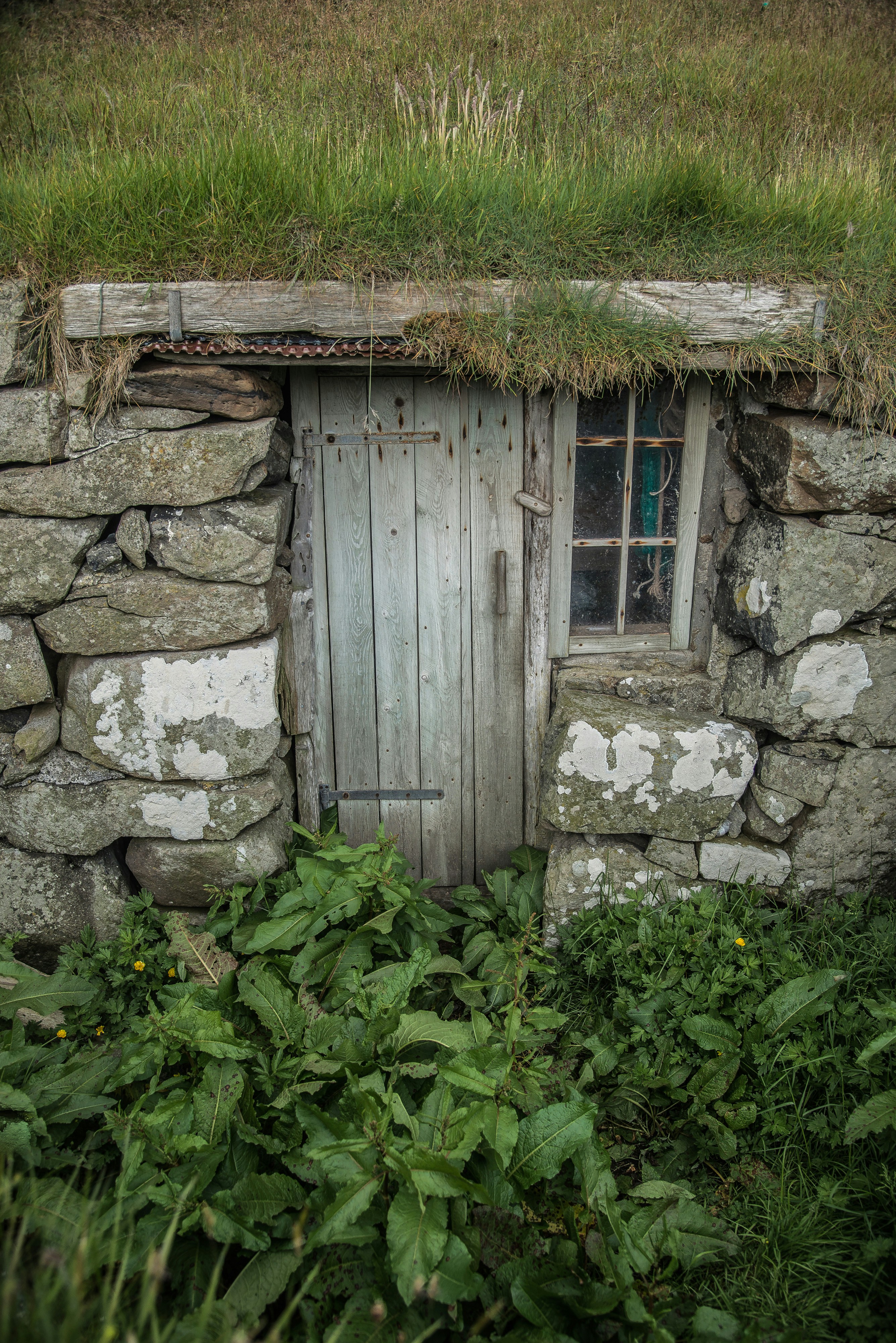 Weathered wooden door framed by rugged stone and lush greenery, showcasing a harmonious blend of architecture and nature.