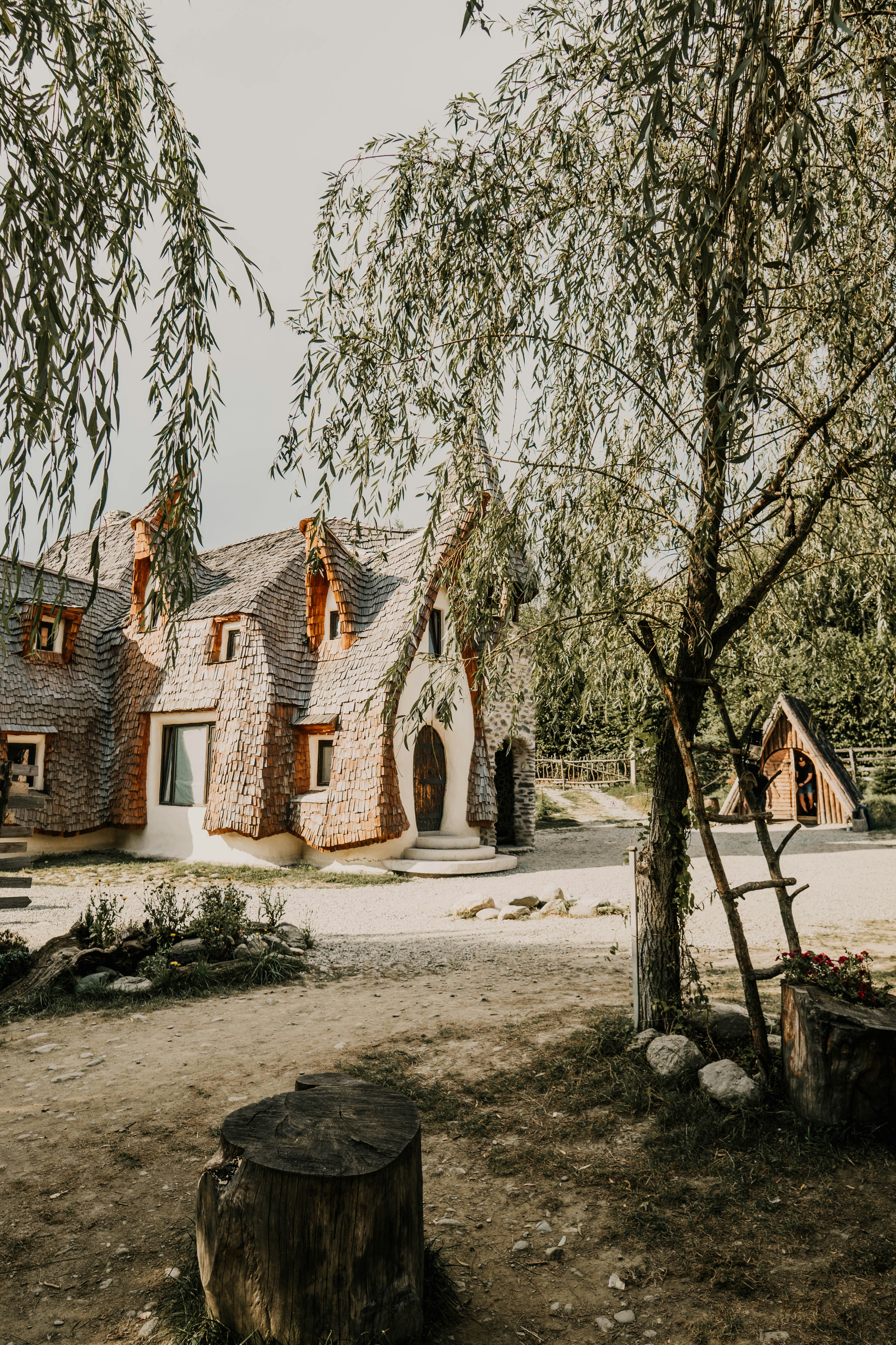 Tree trump on green grass photo – Free Building Image on Unsplash