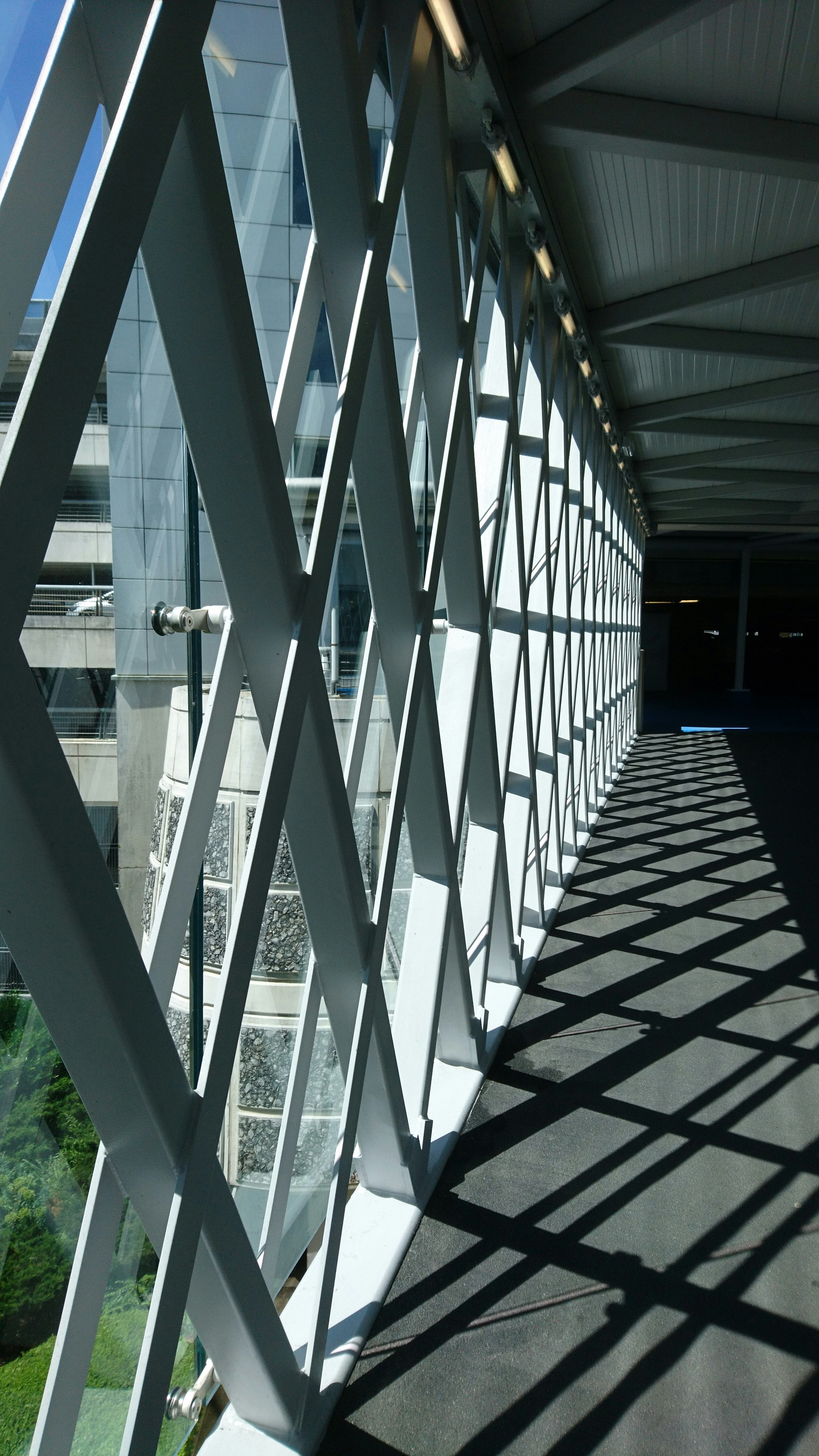 Intricate lattice structure of a corridor casting geometric shadows on the floor, with greenery visible through the glass. 