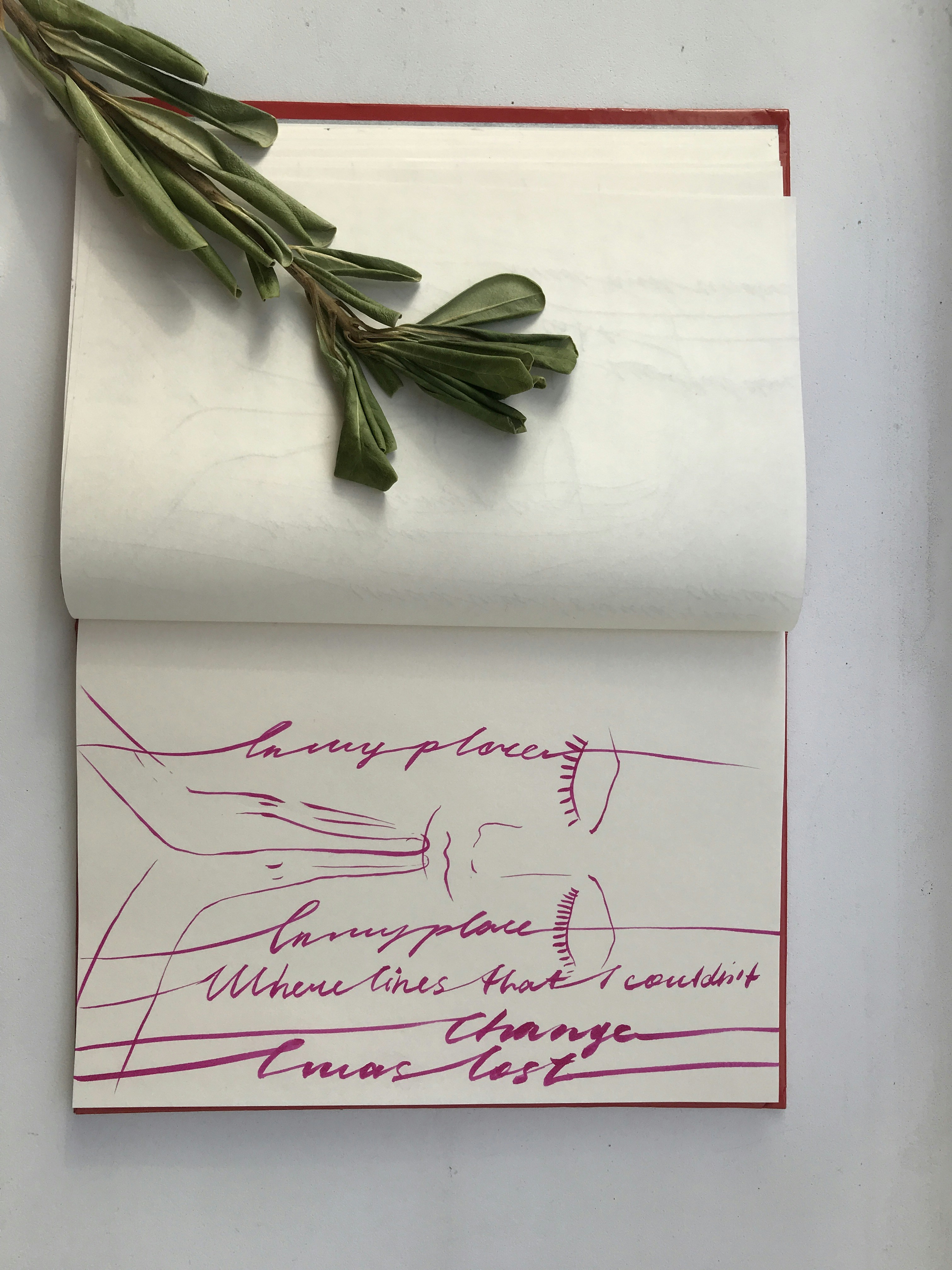 A sketchbook page featuring vibrant pink handwritten text and delicate line drawings, accompanied by a sprig of greenery resting atop the page.