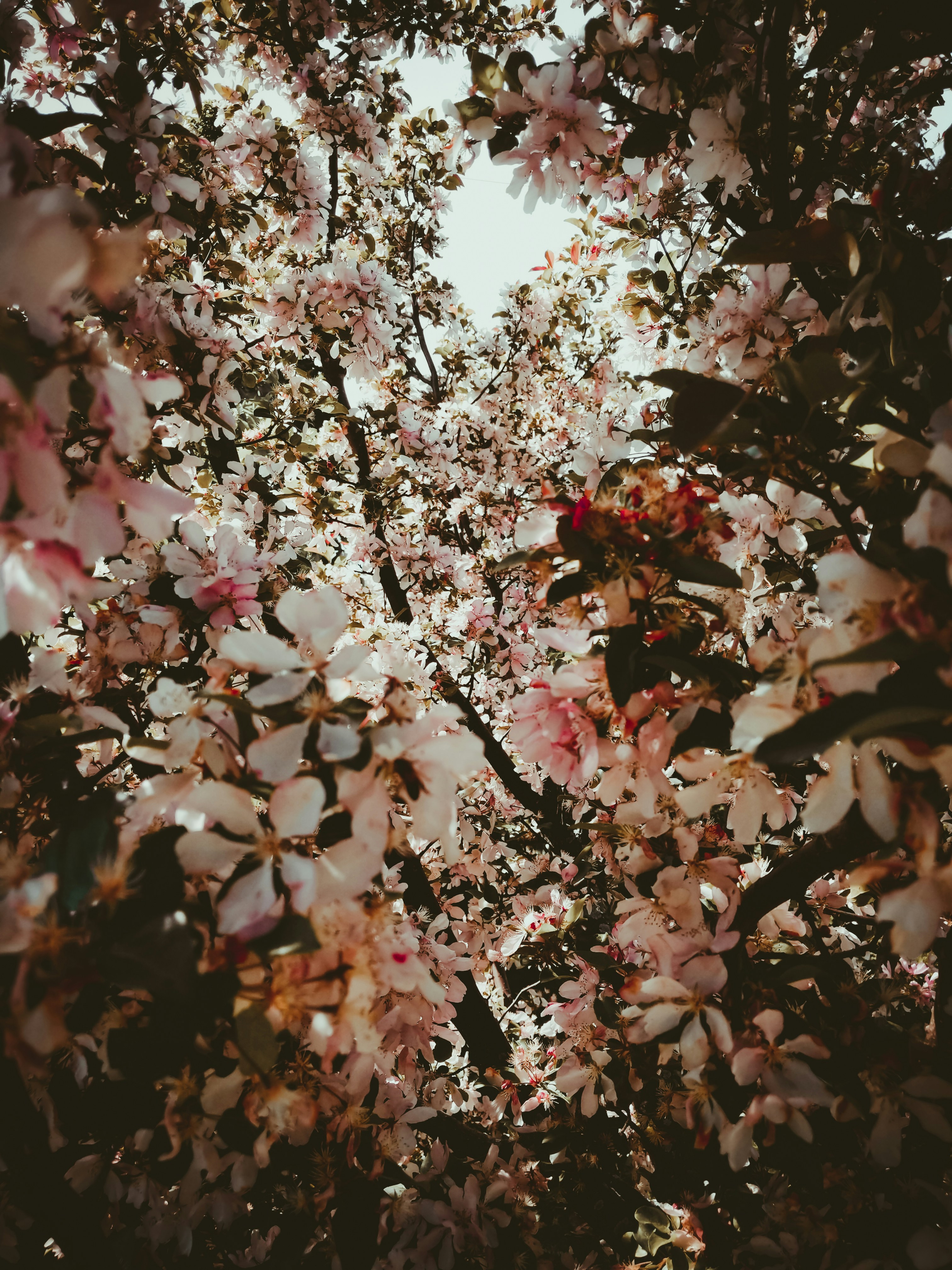 Photo by Muneeb Syed with Google Pixel 2 XL