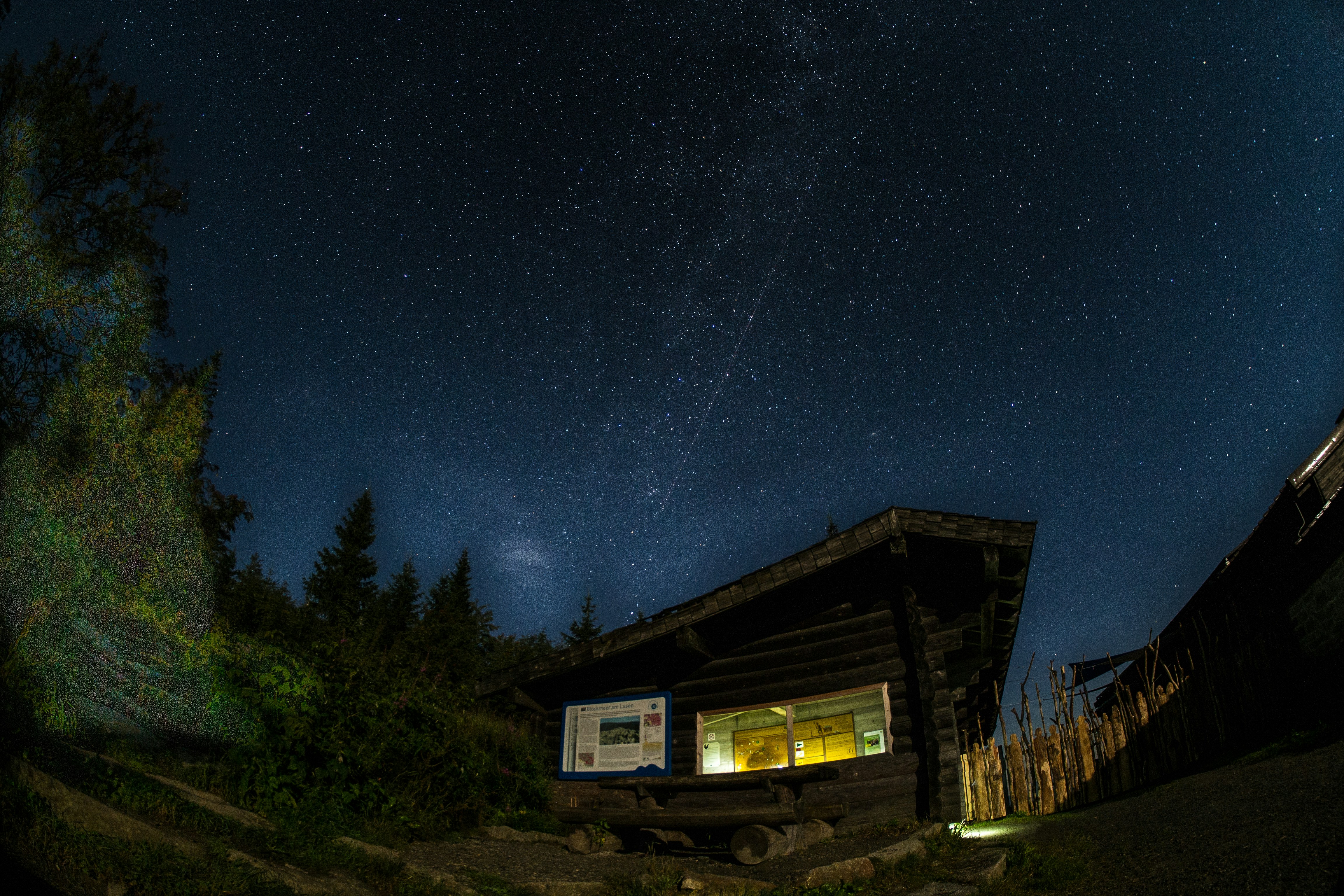 gray wooden house surrounded with tall and green trees during night time