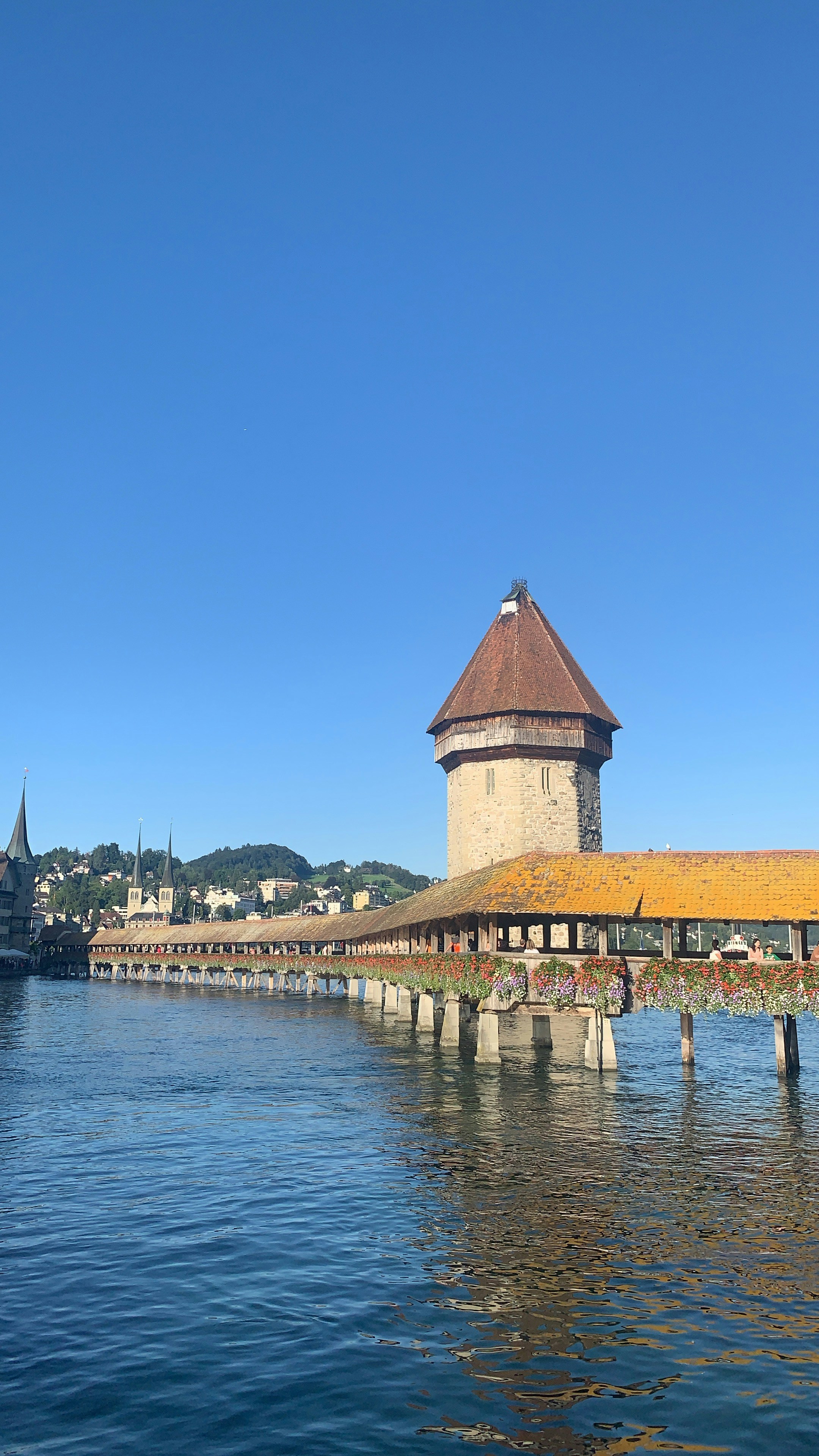 Photo by Ela Abbou with Apple iPhone XR