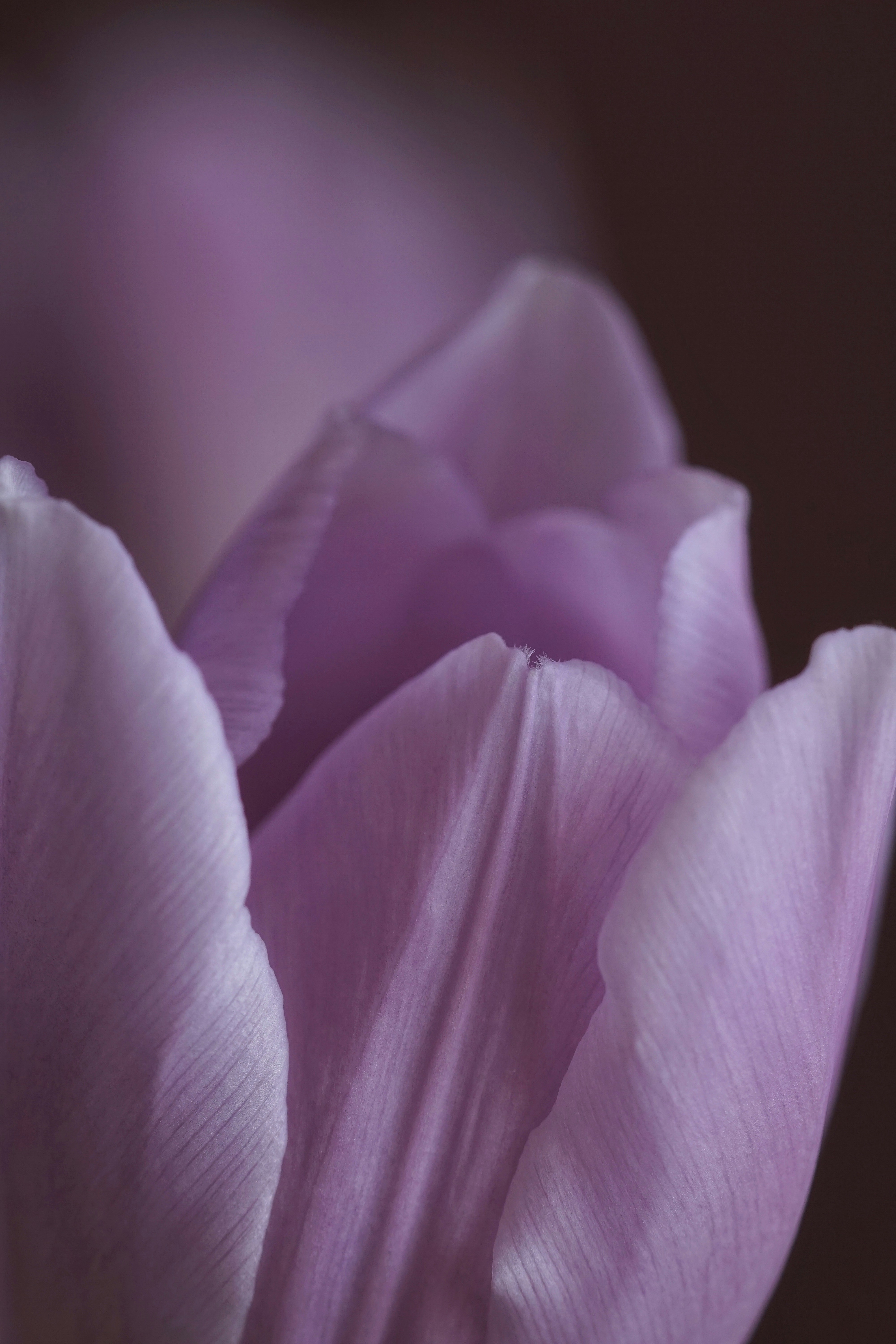 Shut Up Pictures | Download Free Images on Unsplash