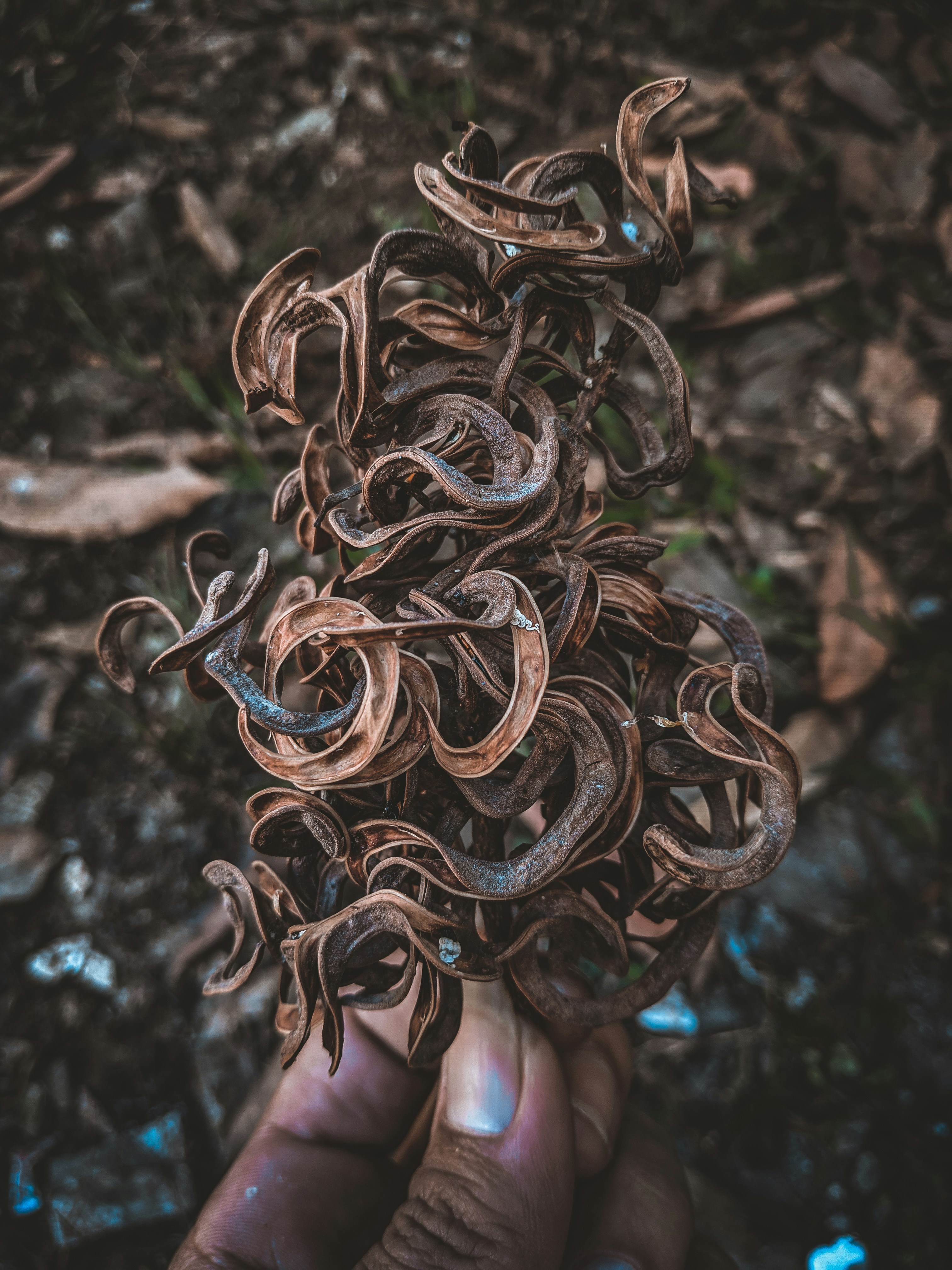 Trash of tree