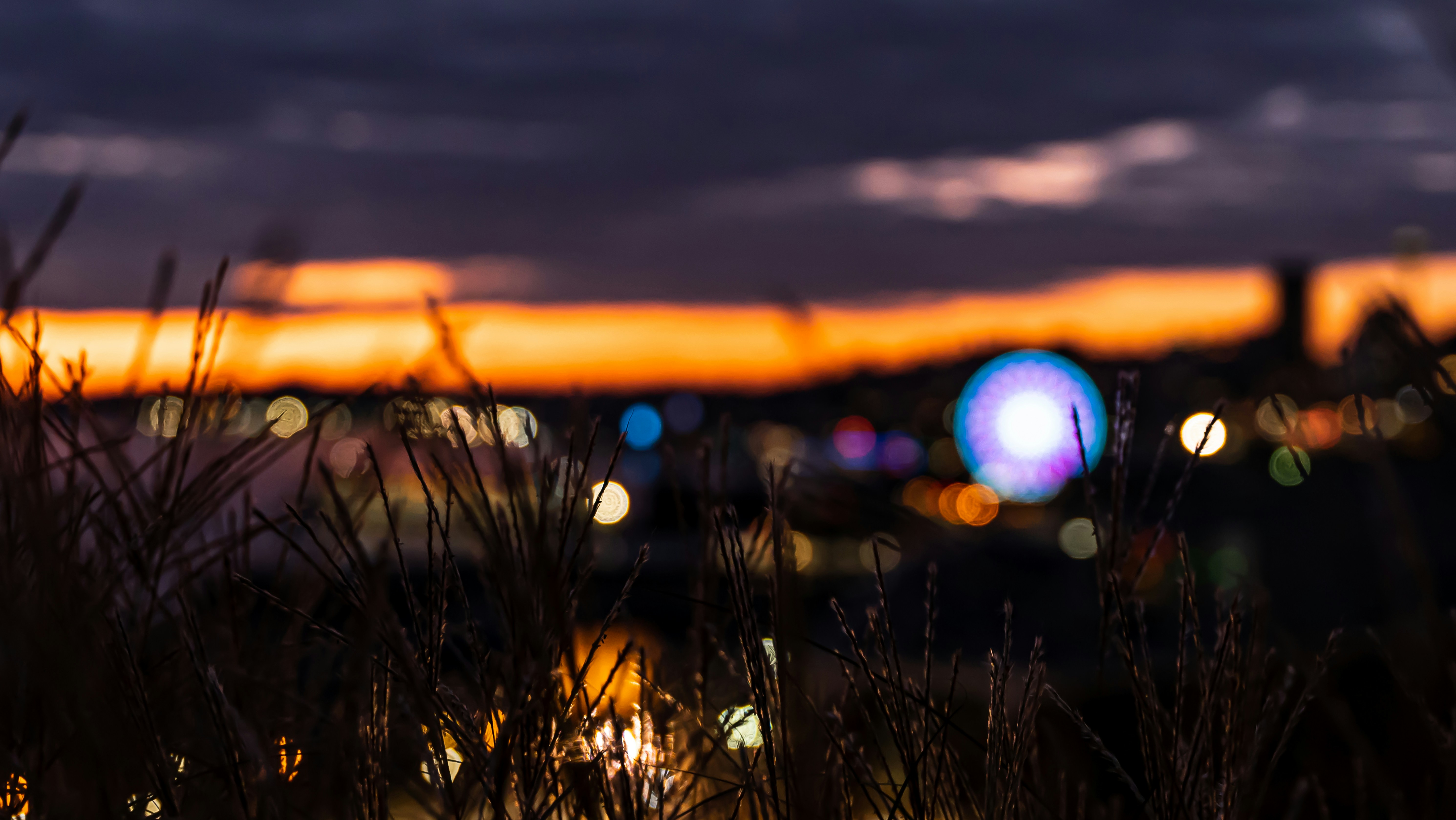 Dusk Neon: Blue Orbs Beyond Silhouetted Grasses