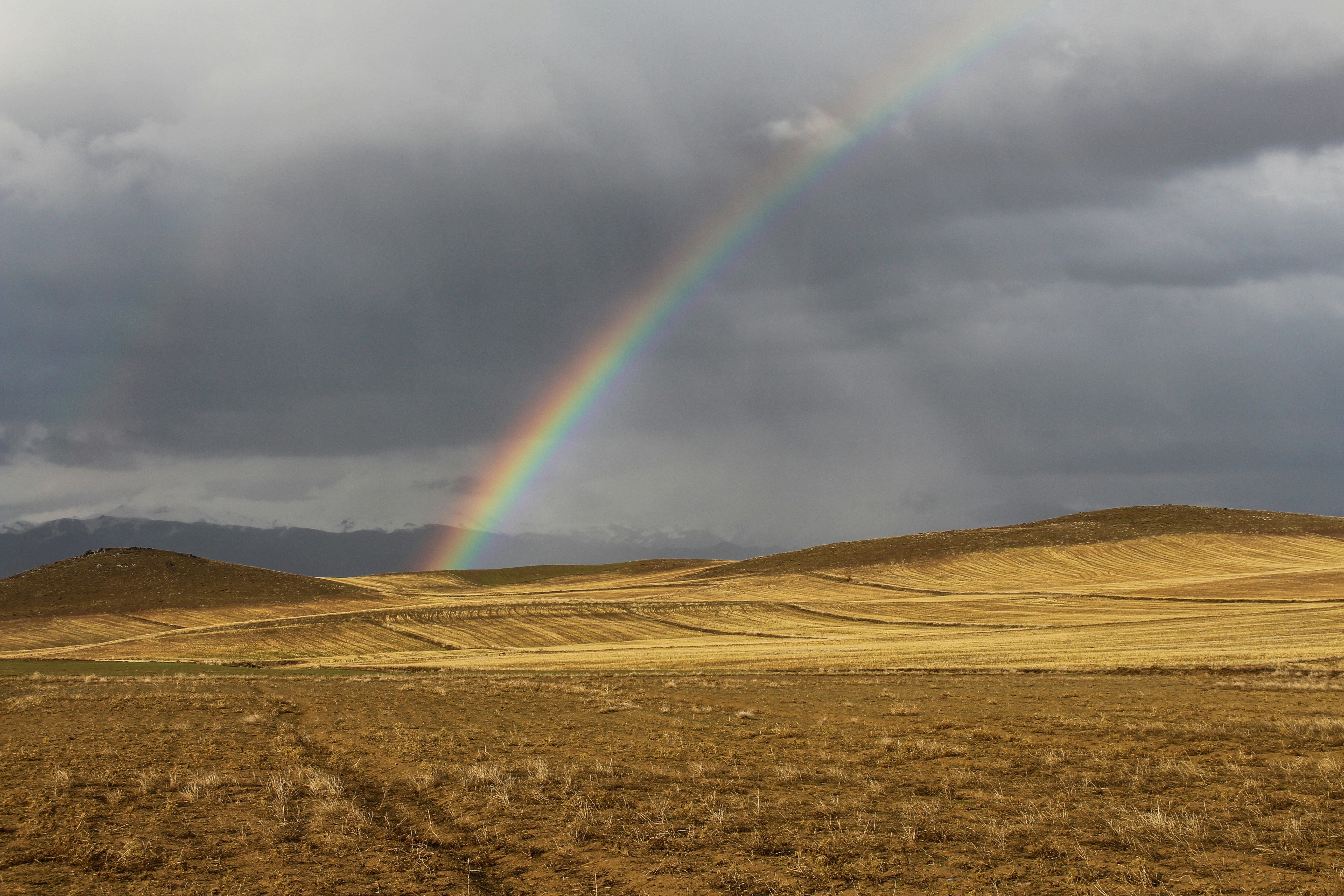 a rainbow in the sky over a field