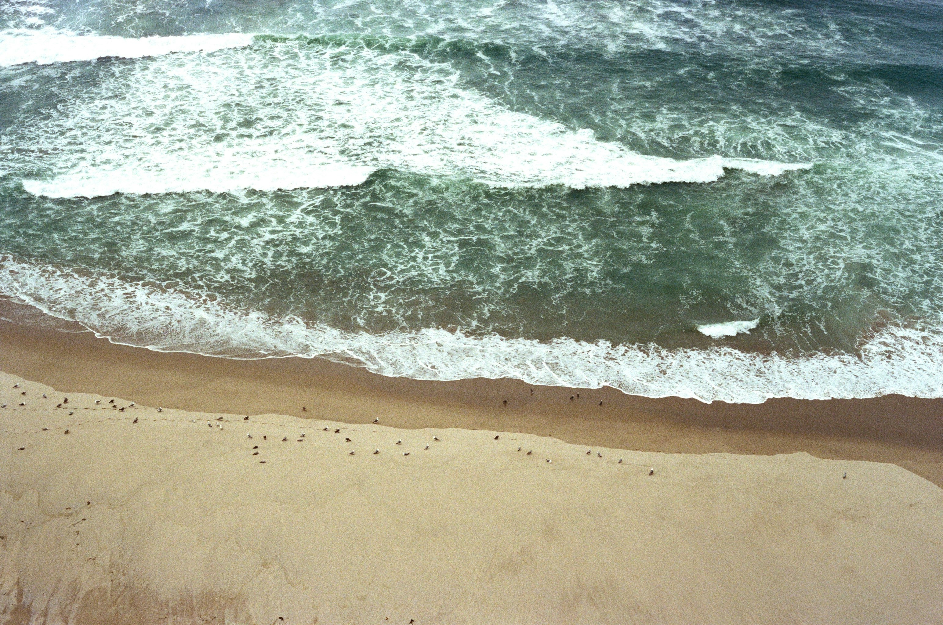 Bird's eye view photography of beach line photo – Free Beach Image on ...