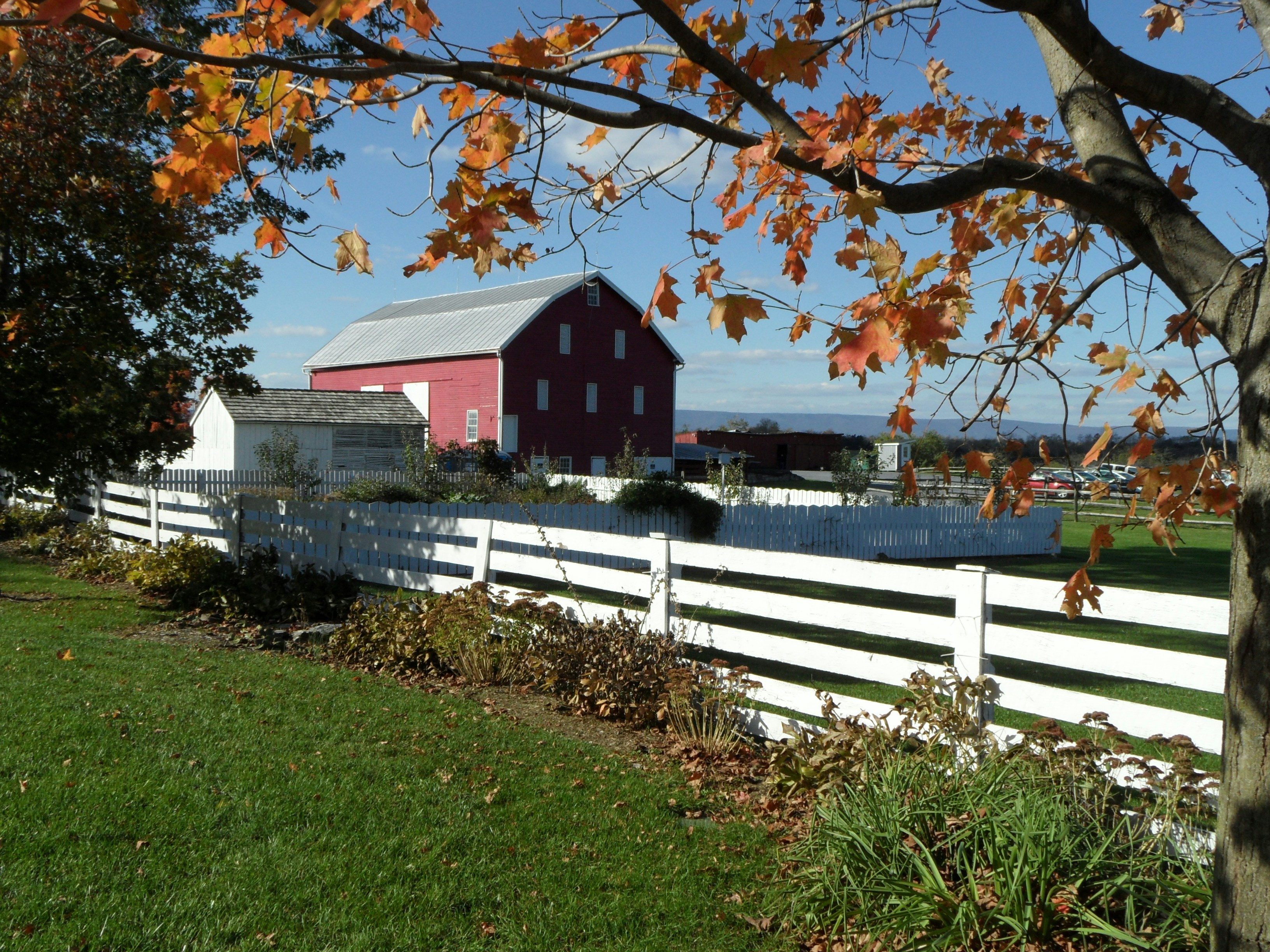 A vibrant red barn nestled amidst autumn foliage and a white fence, showcasing the charm of rural life in fall.