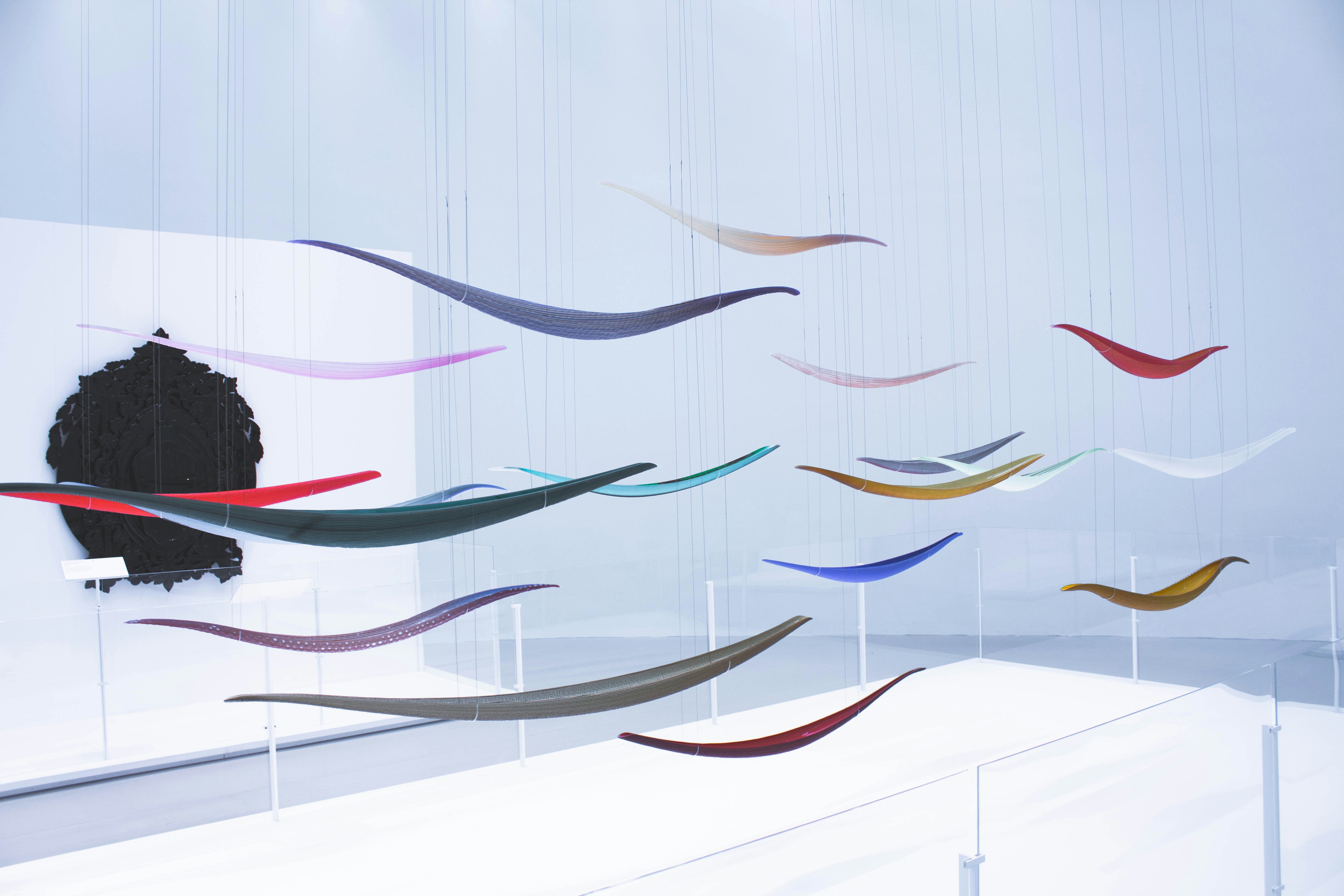 Floating Color Arcs Above a White Terrace