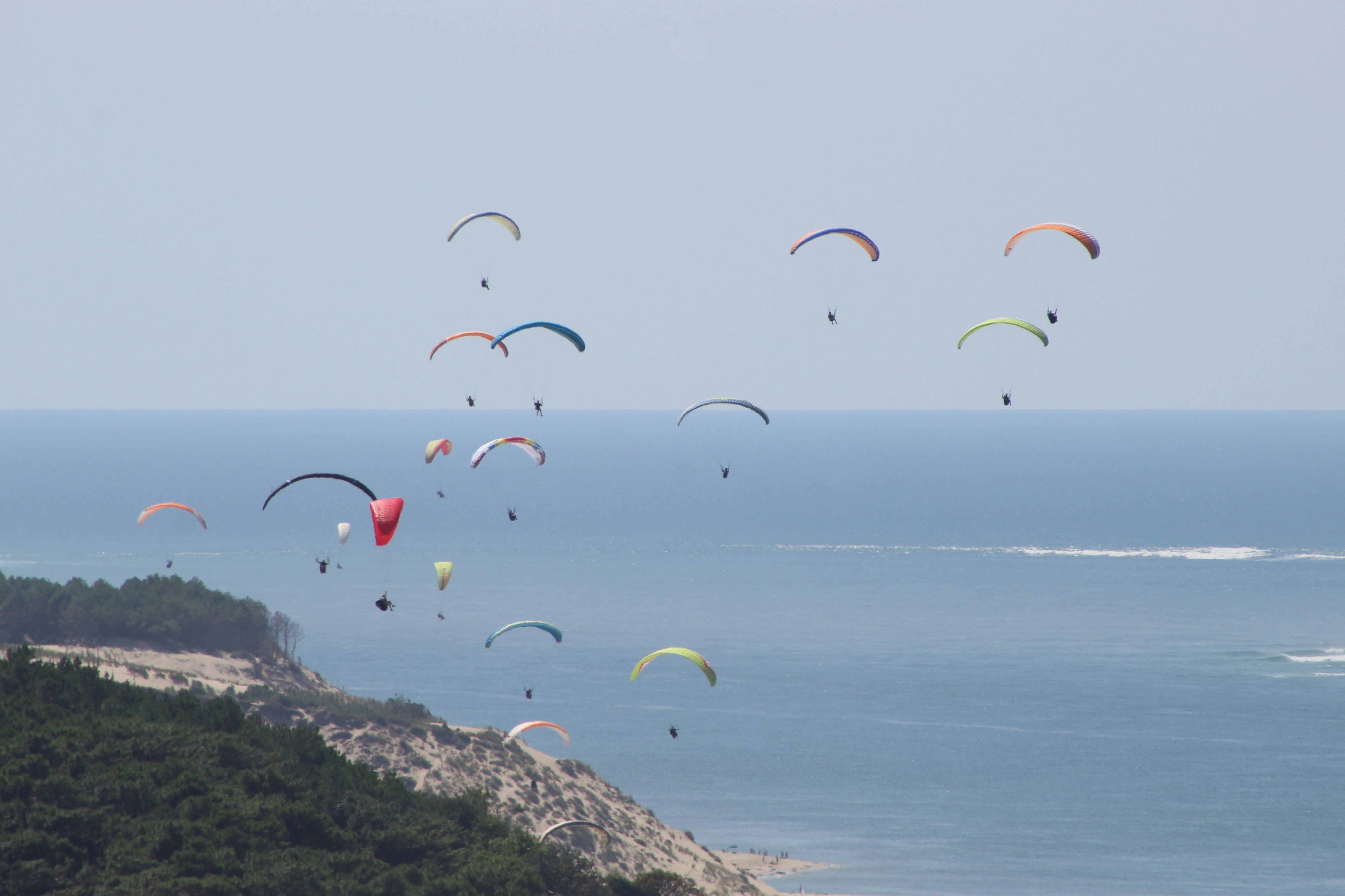 Colorful Paragliders Coasting Above a Cliffside Seascape
