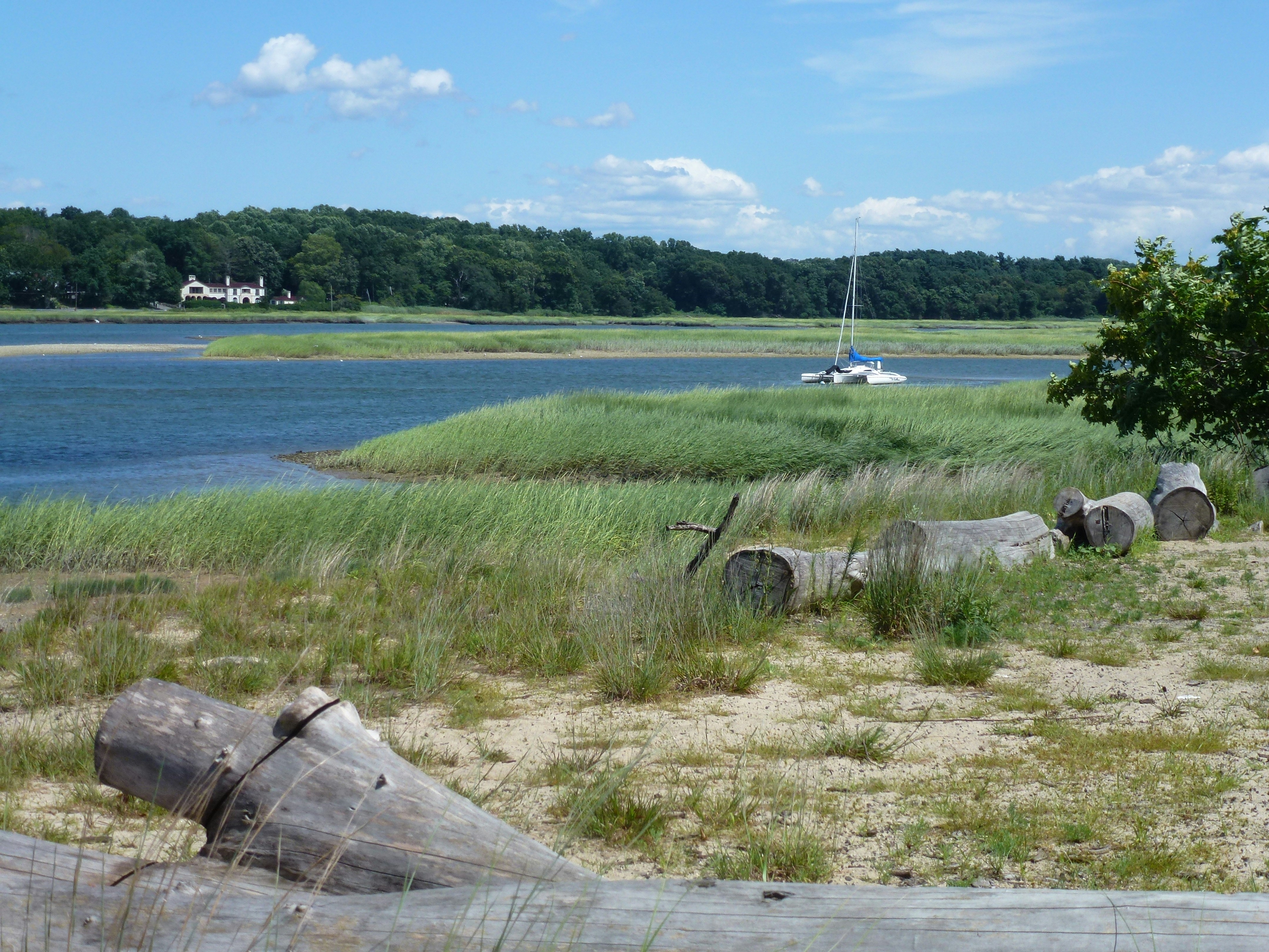 A tranquil coastal scene featuring a sailboat anchored in a calm bay, framed by lush greenery and driftwood on the sandy shore.
