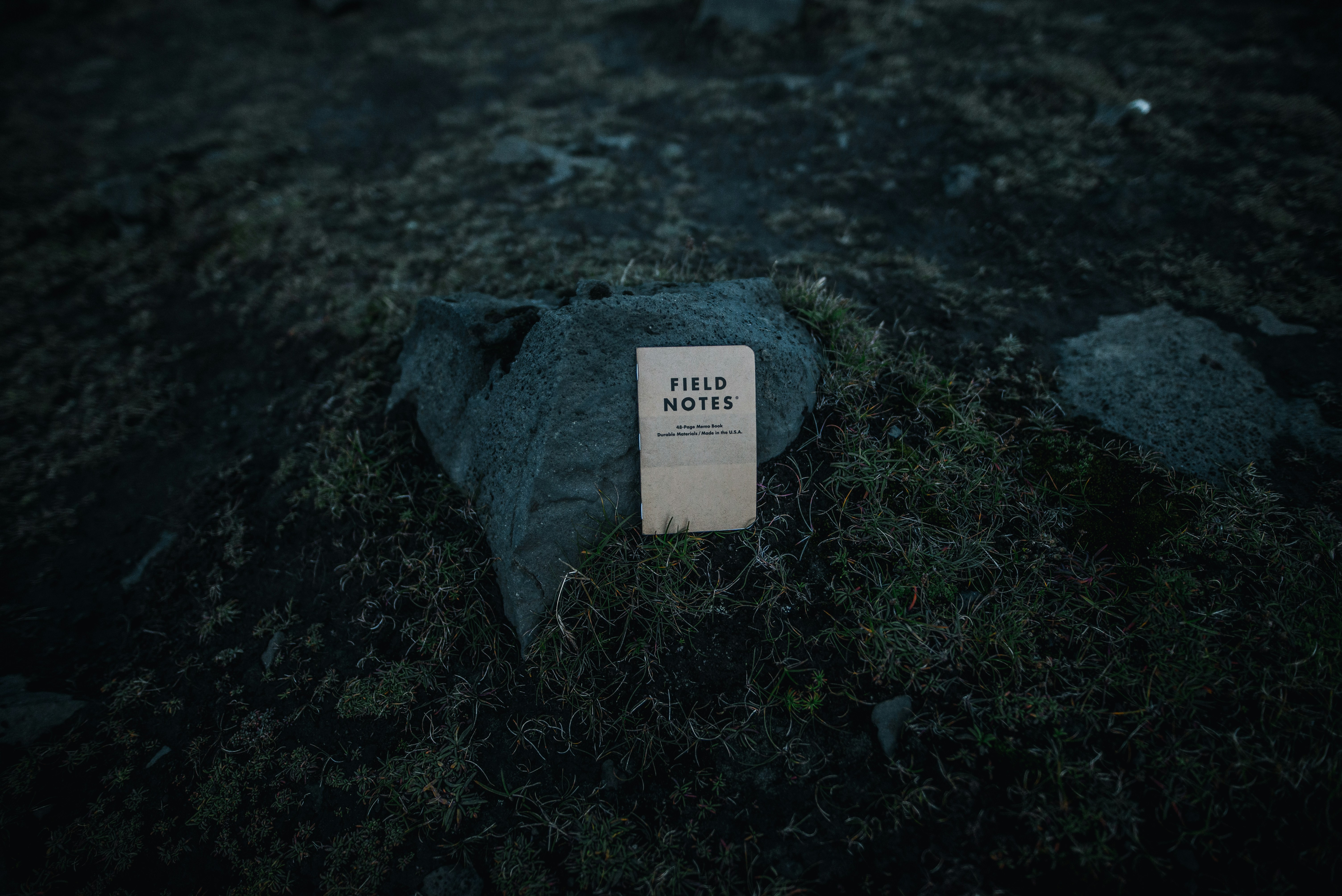 Field notes photo – Free Plant Image on Unsplash