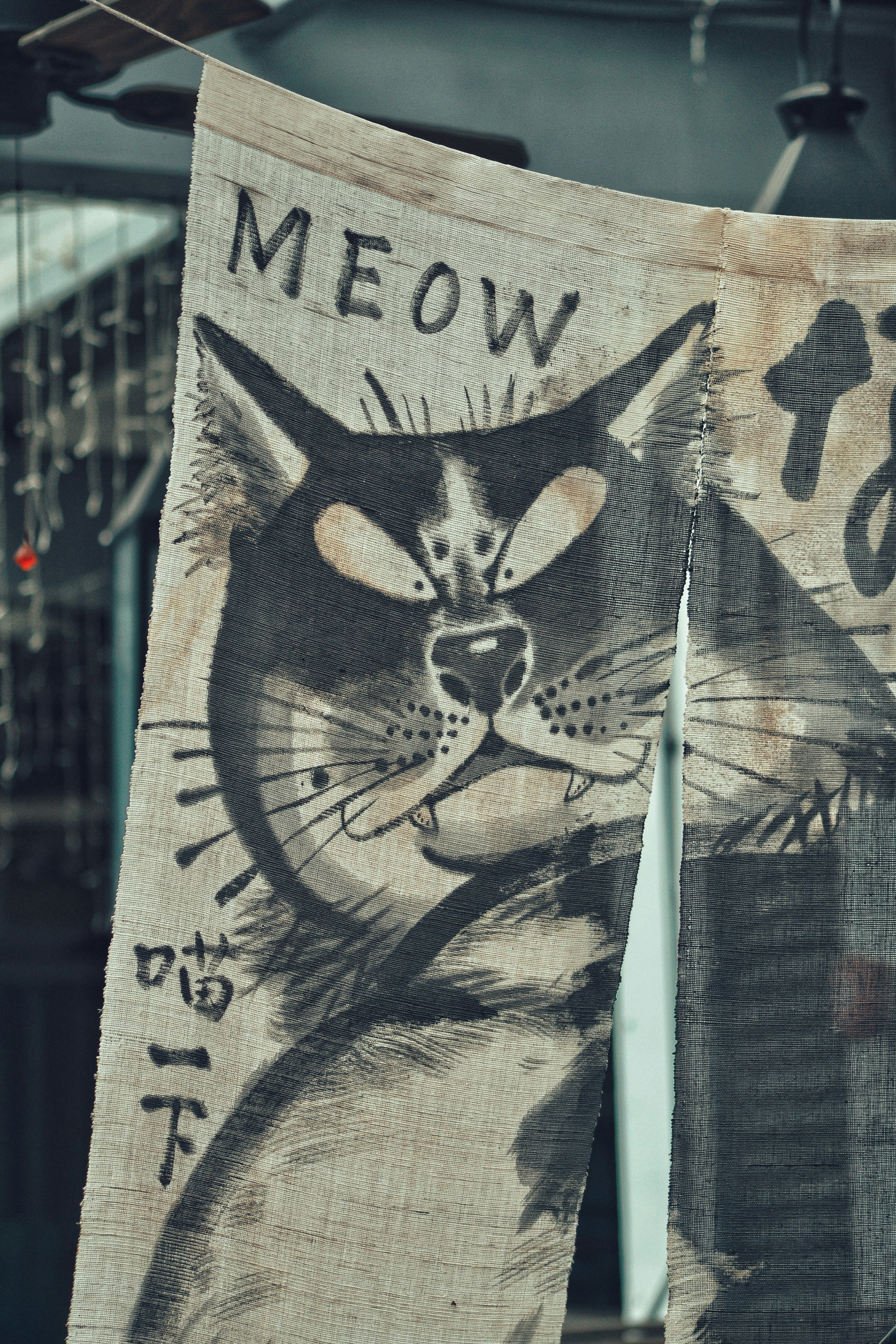 Feline Expression Unfurled