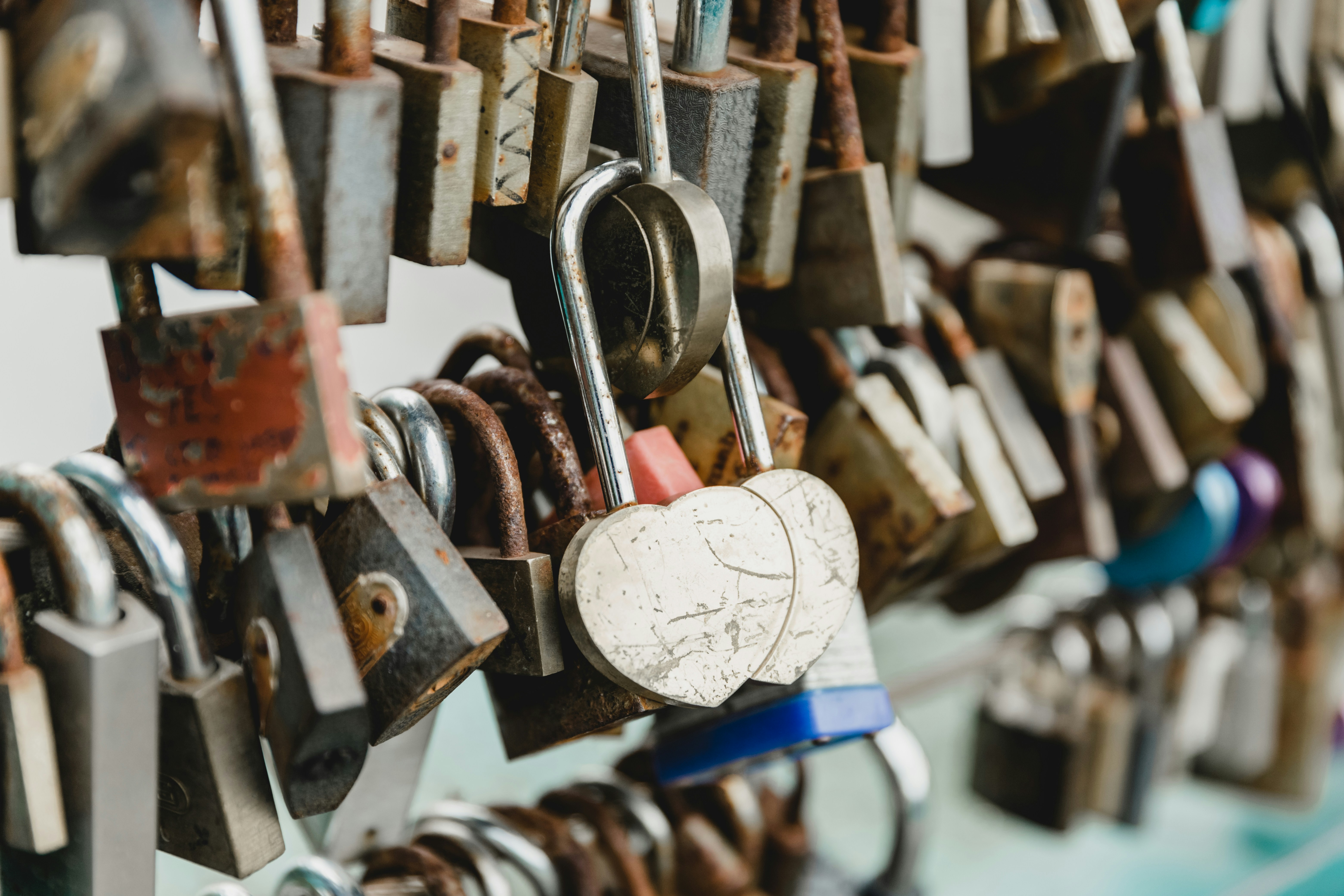 Assorted-color padlocks photo – Free Lock Image on Unsplash