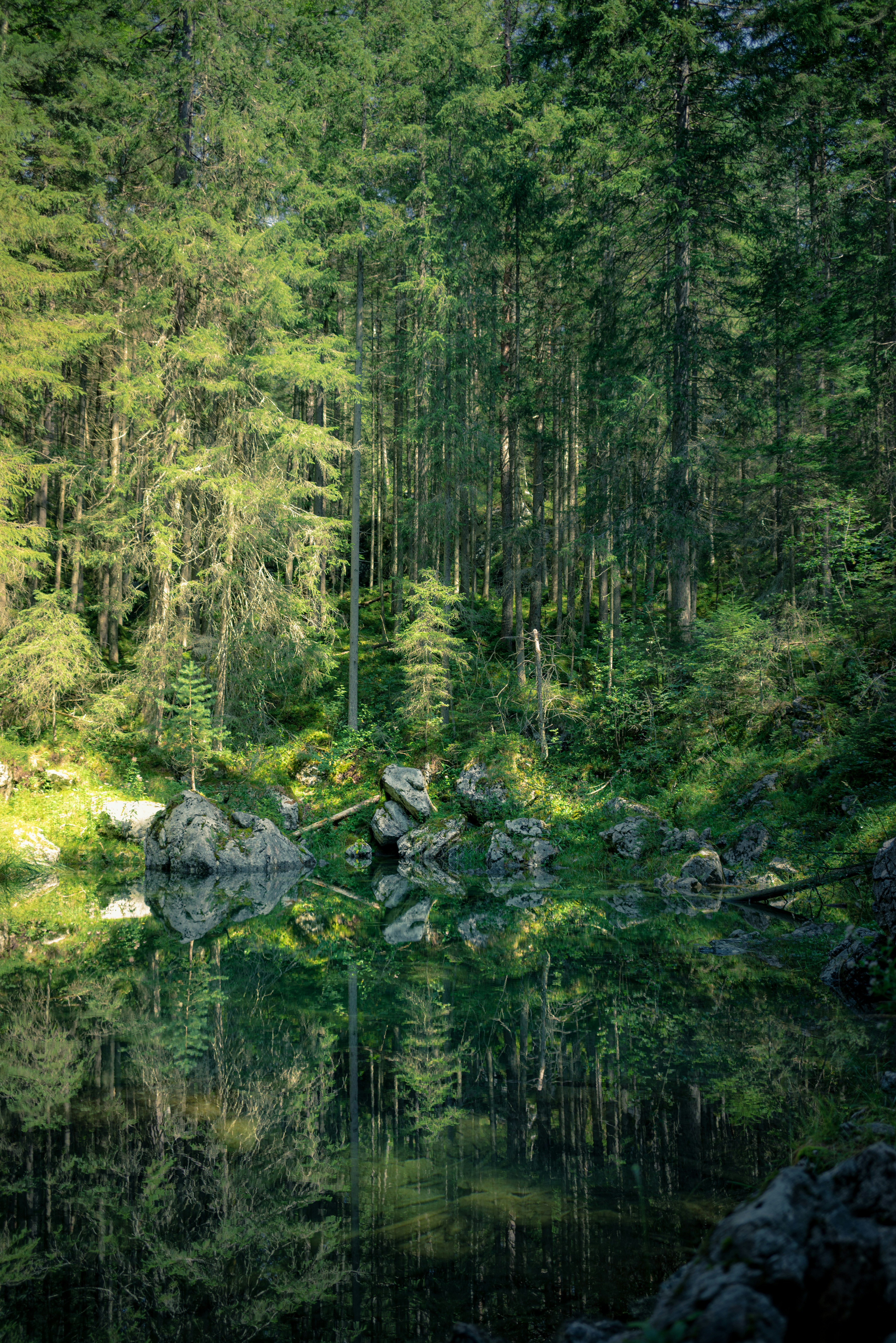 reflection of trees and rocks on body of water during daytime