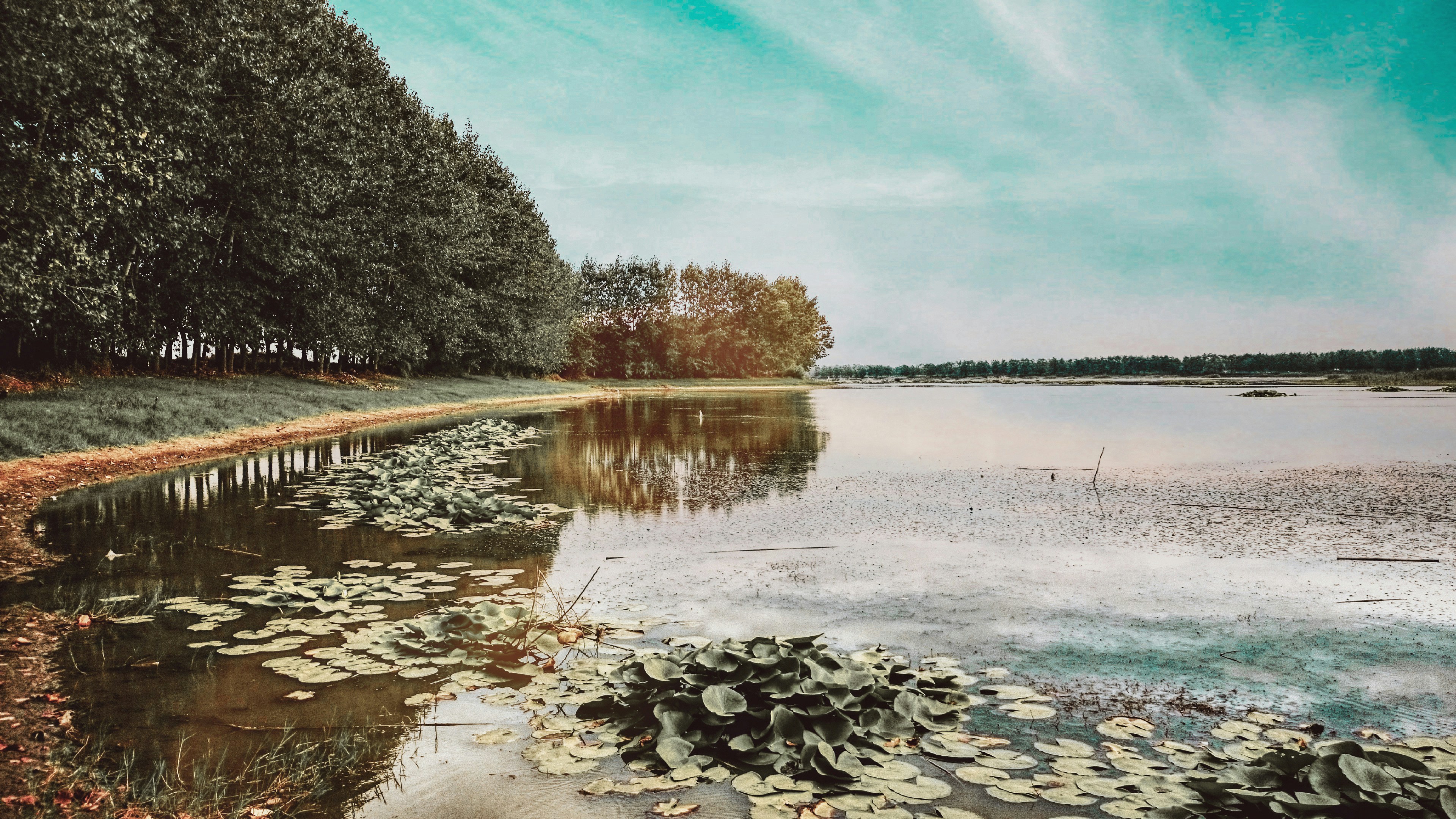 shayan rostami (@shayan_rostami) | Unsplash Photo Community