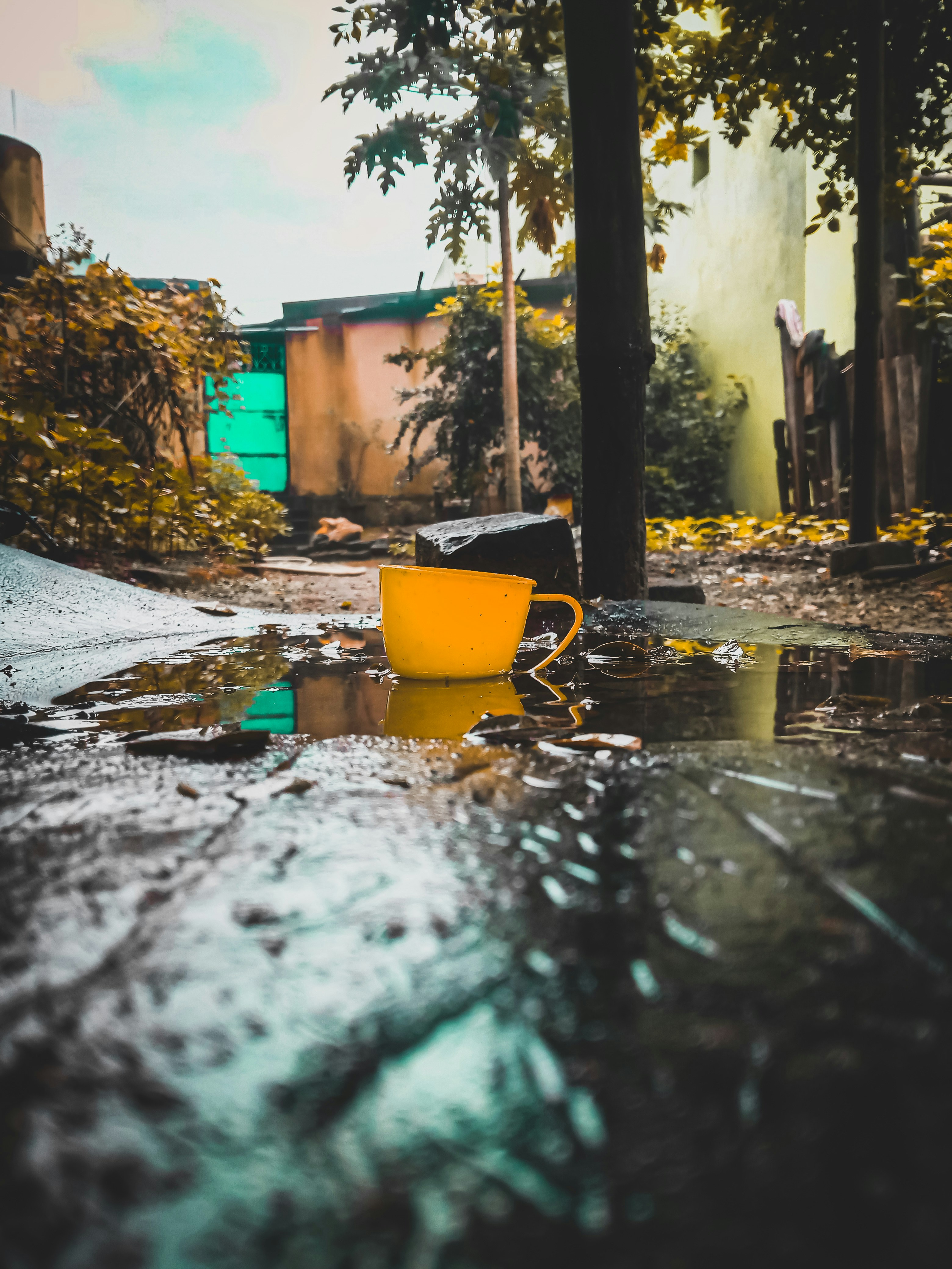 Yellow Cup on a Rainy Street: A Quiet Moment After the Pour