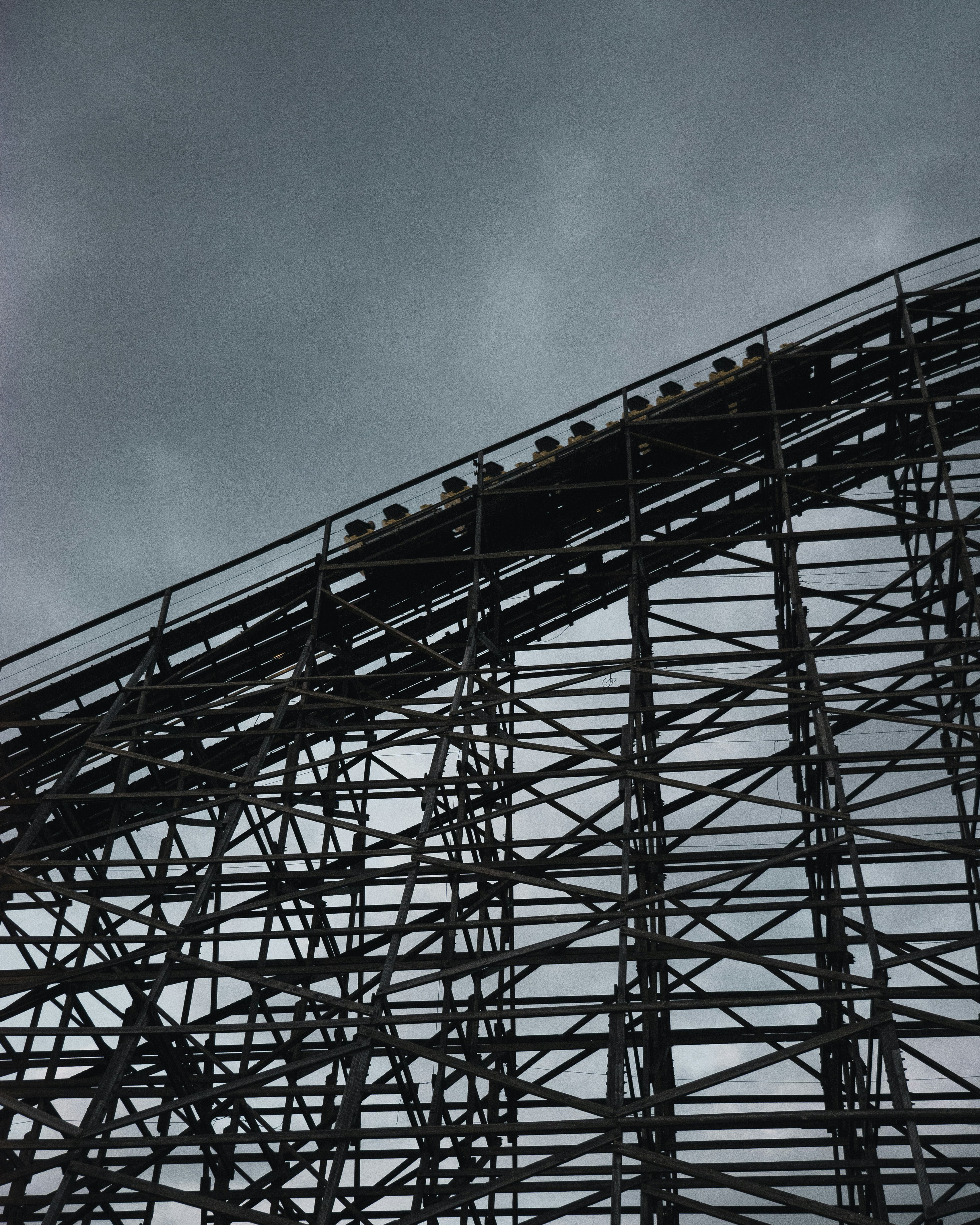 Riders at the Crest: Crisscrossed Timber Tracks Under Gray Skies