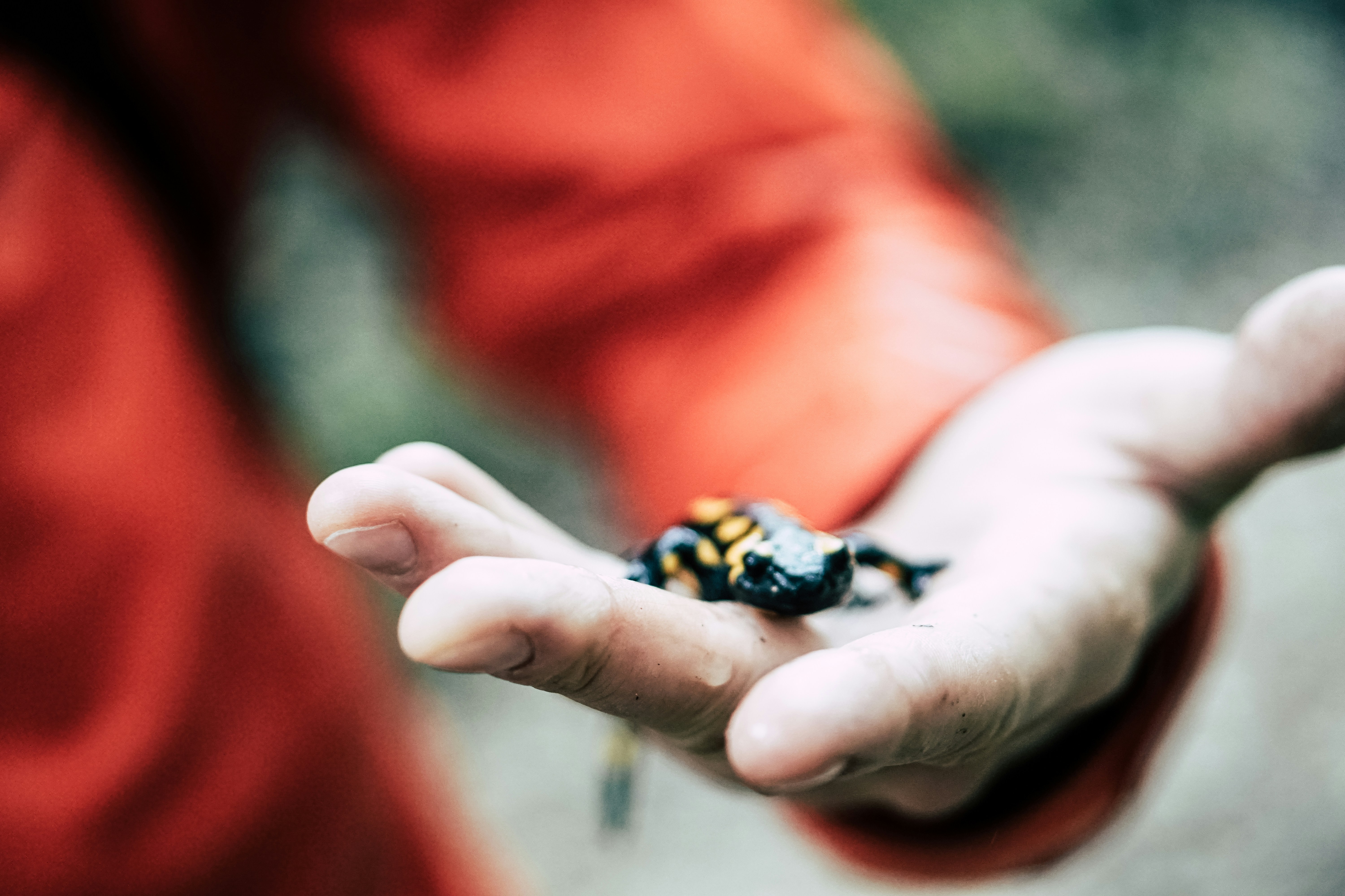 A Prized Moment: A Handful of Wonder