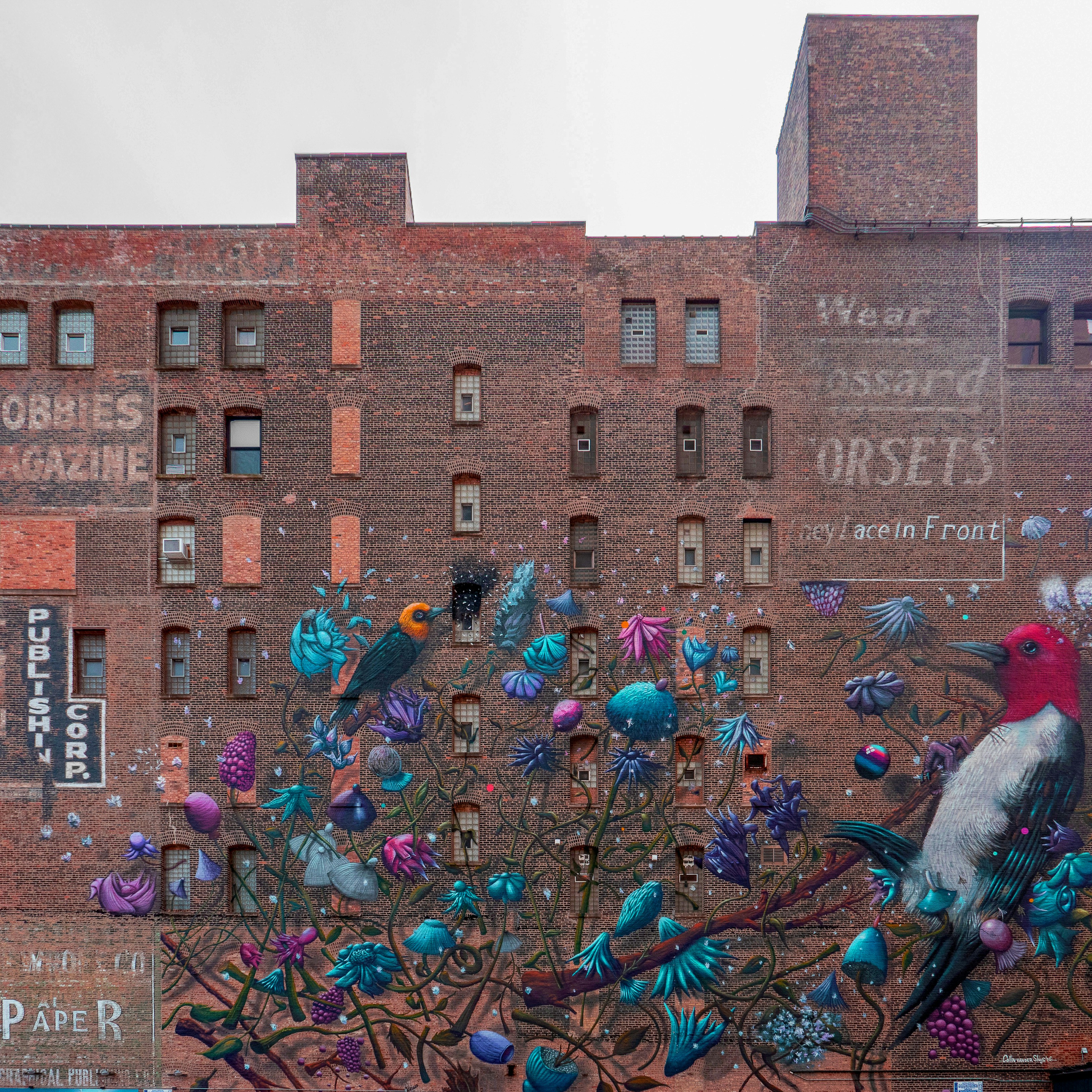 Urban Bloom: A Giant Mural of Birds and Flowers Piercing a Brick Facade