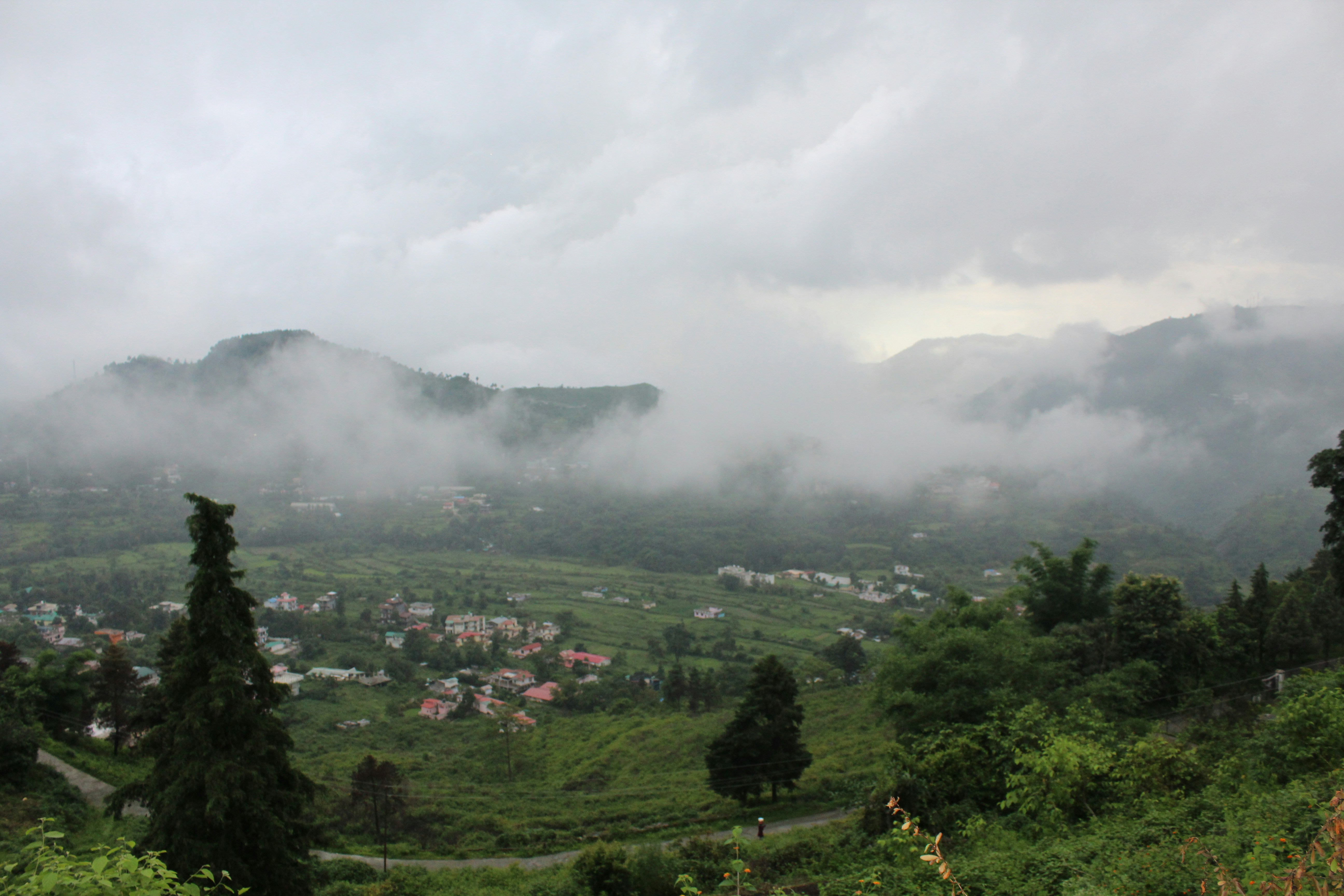 Monsoon clouds descent into a valley in the Himalayas. | a lush green hillside covered in clouds and trees